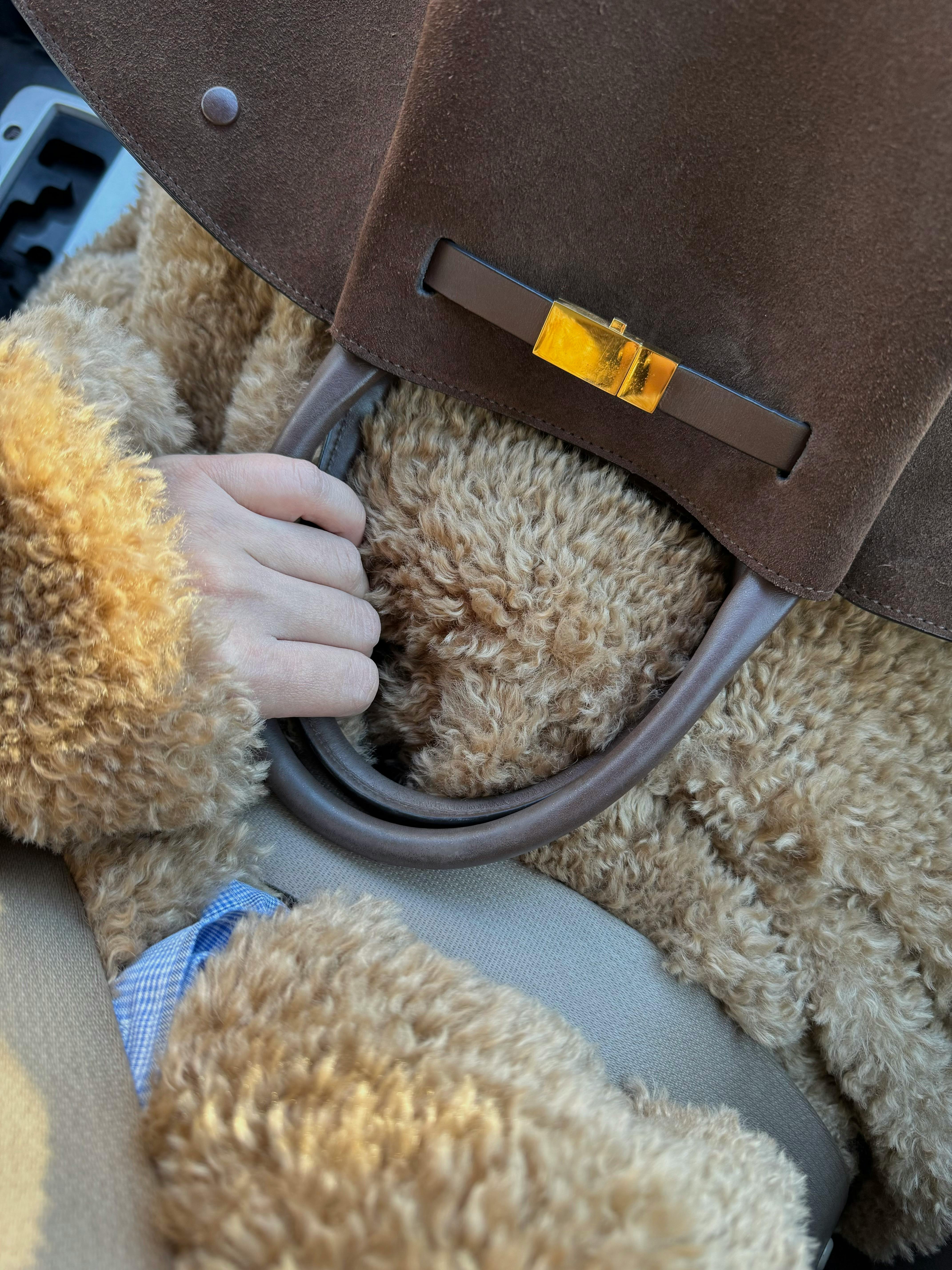 Wooly Texture Photos, Download The BEST Free Wooly Texture Stock Photos ...