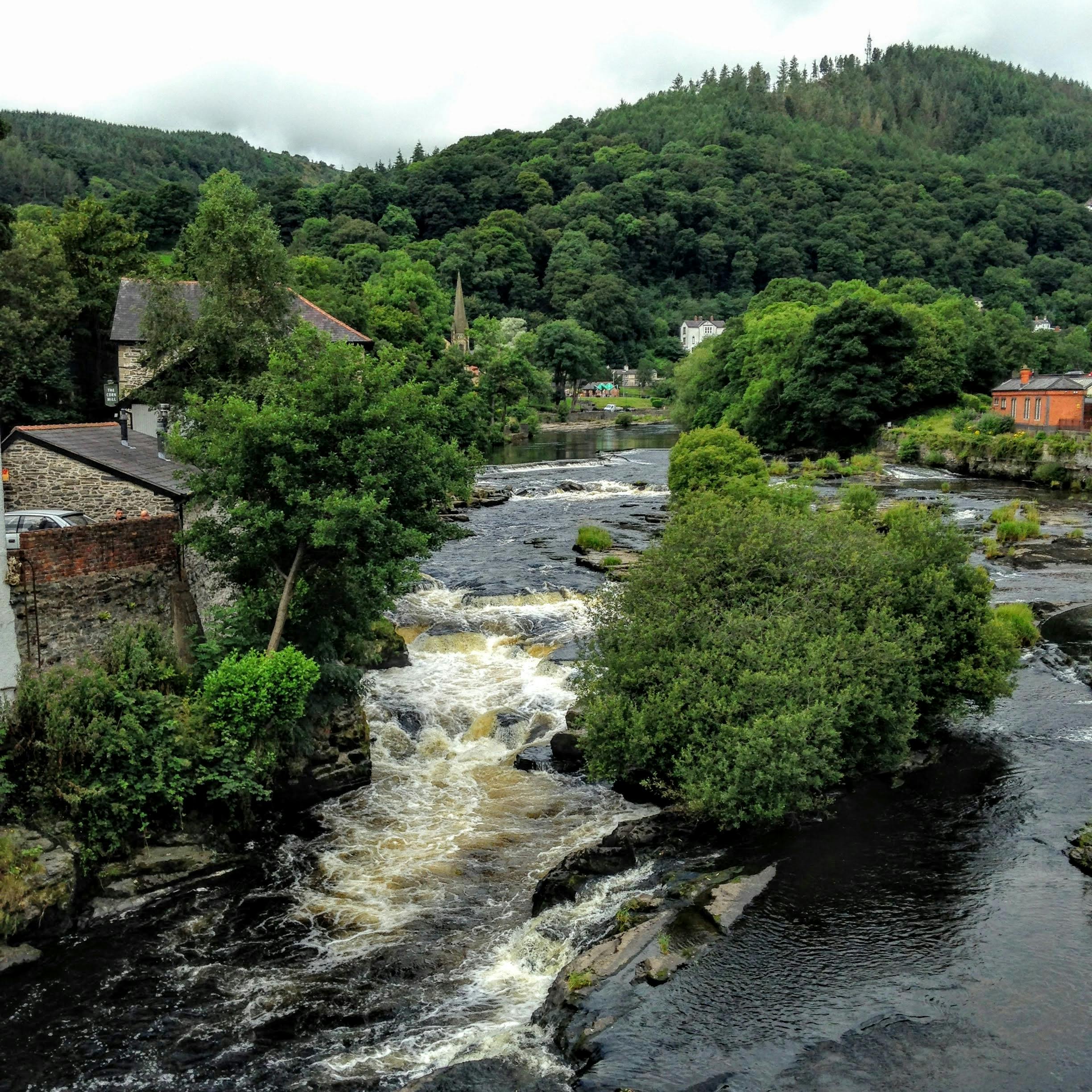 Scenic Landscape of Welsh River and Forest · Free Stock Photo
