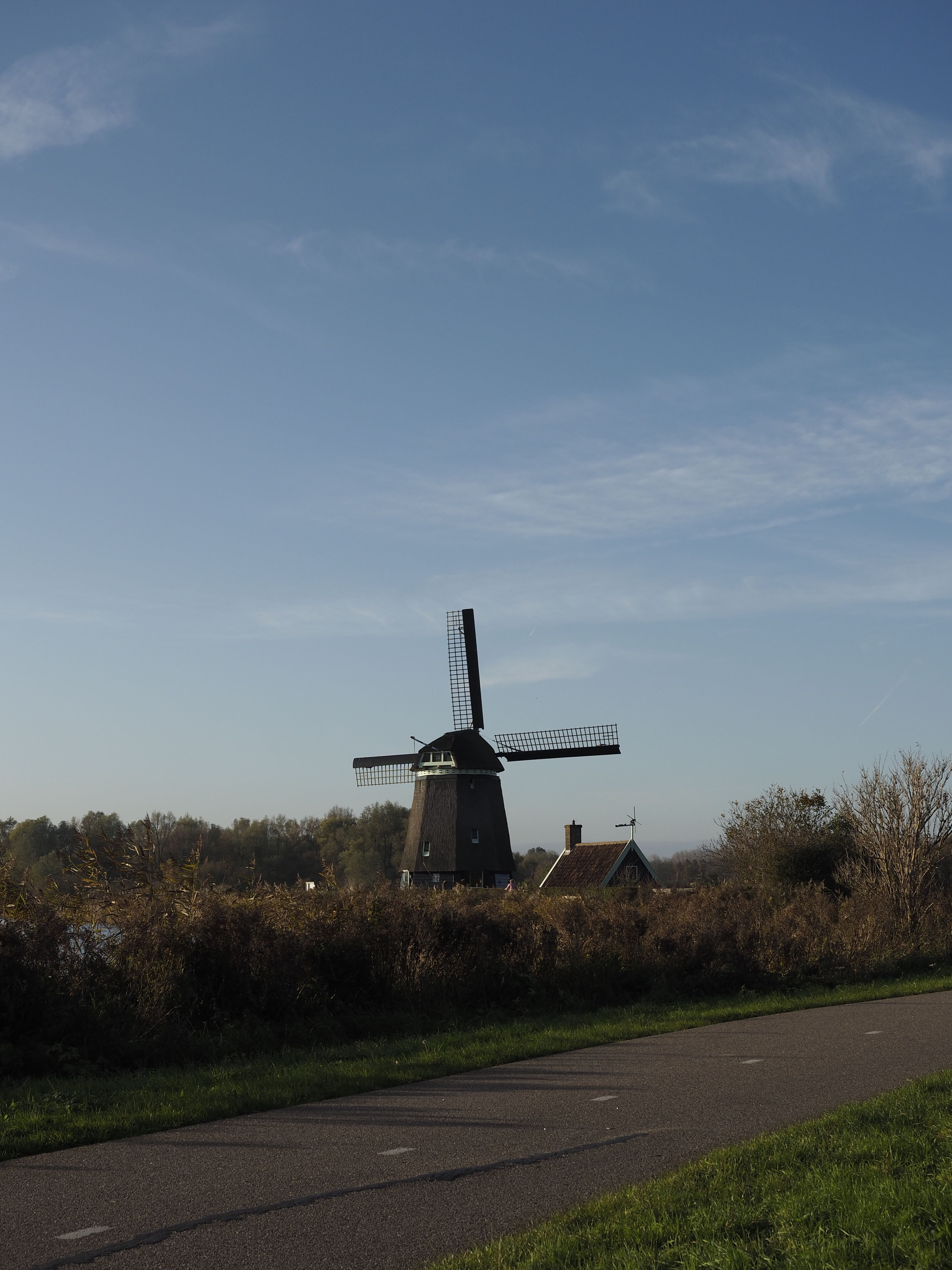 Traditional Dutch Windmill in Rural Landscape · Free Stock Photo