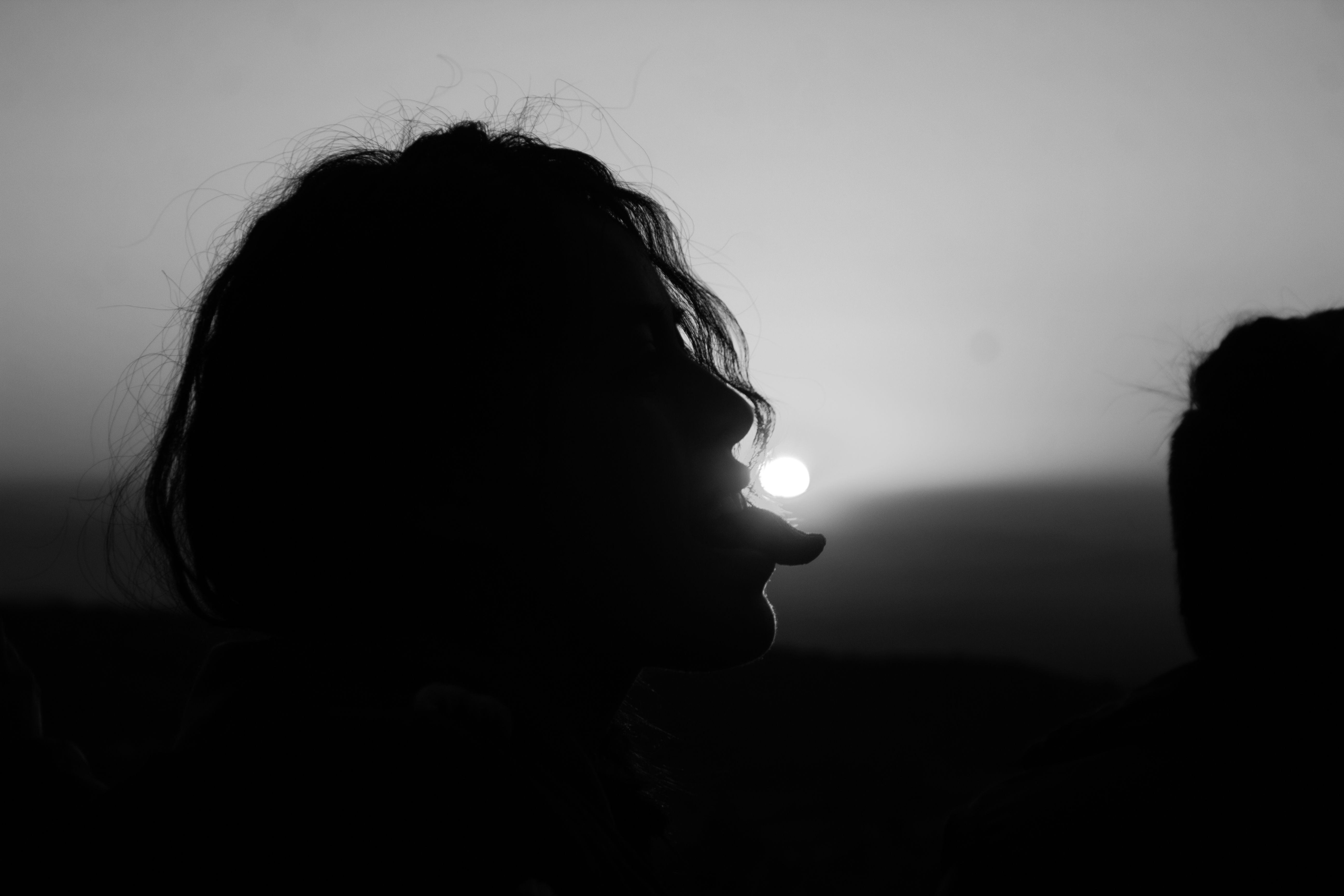 204.496+ Fotos y Imágenes de Silhouette profile 1x1 Gratis · Banco de ...