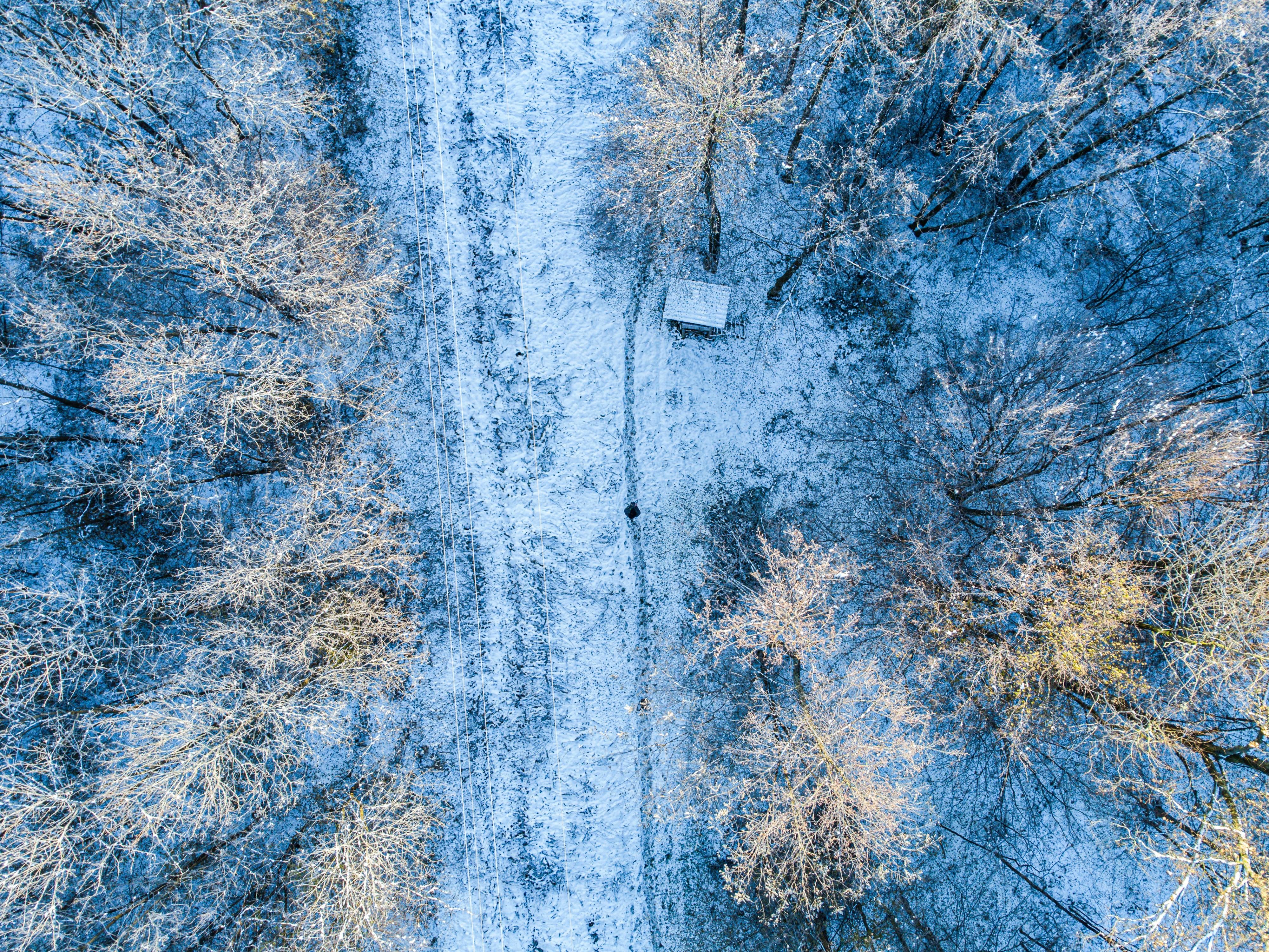 Aerial Winter Landscape with Snowy Forest · Free Stock Photo