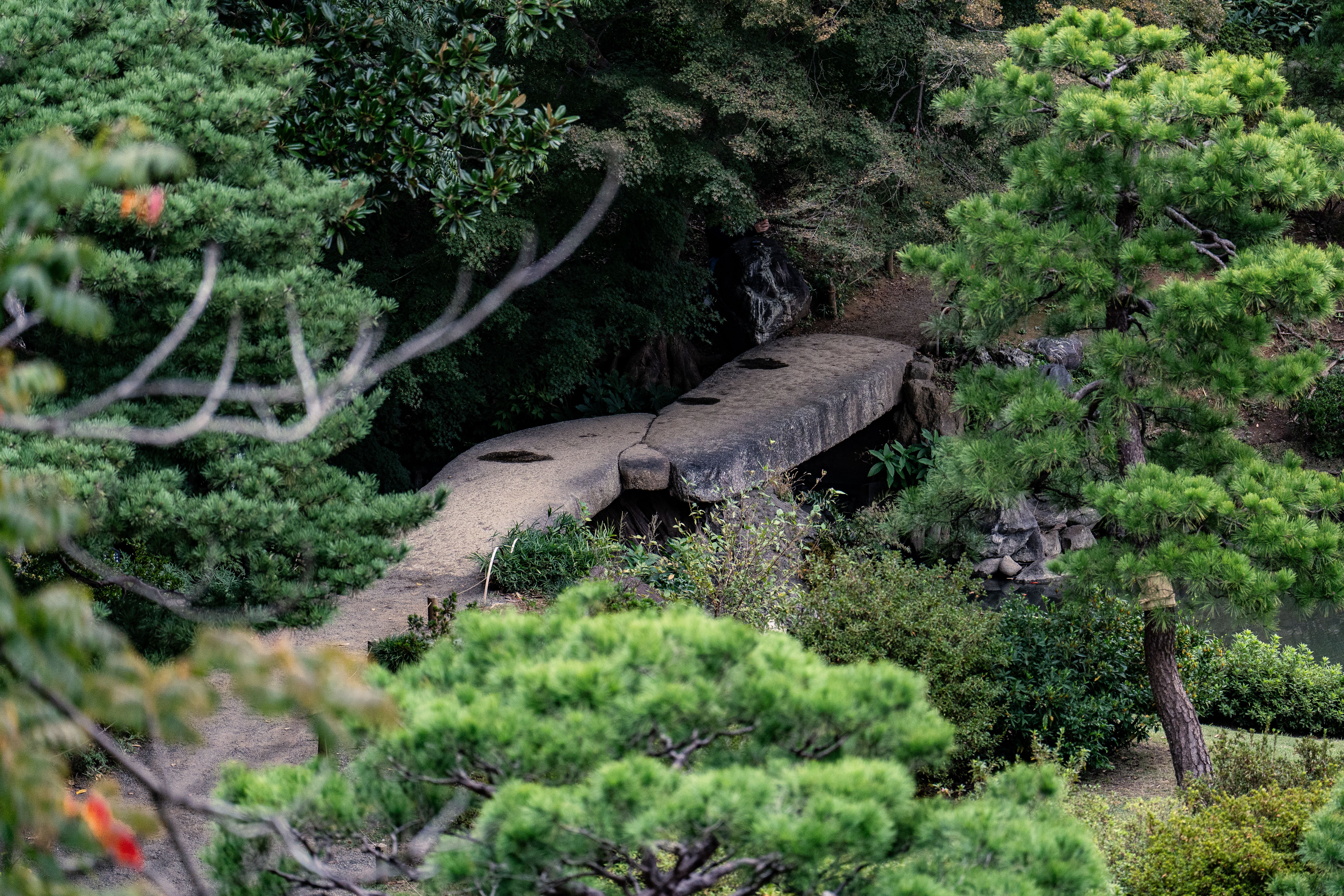 Serene Japanese Garden with Stone Pathway · Free Stock Photo