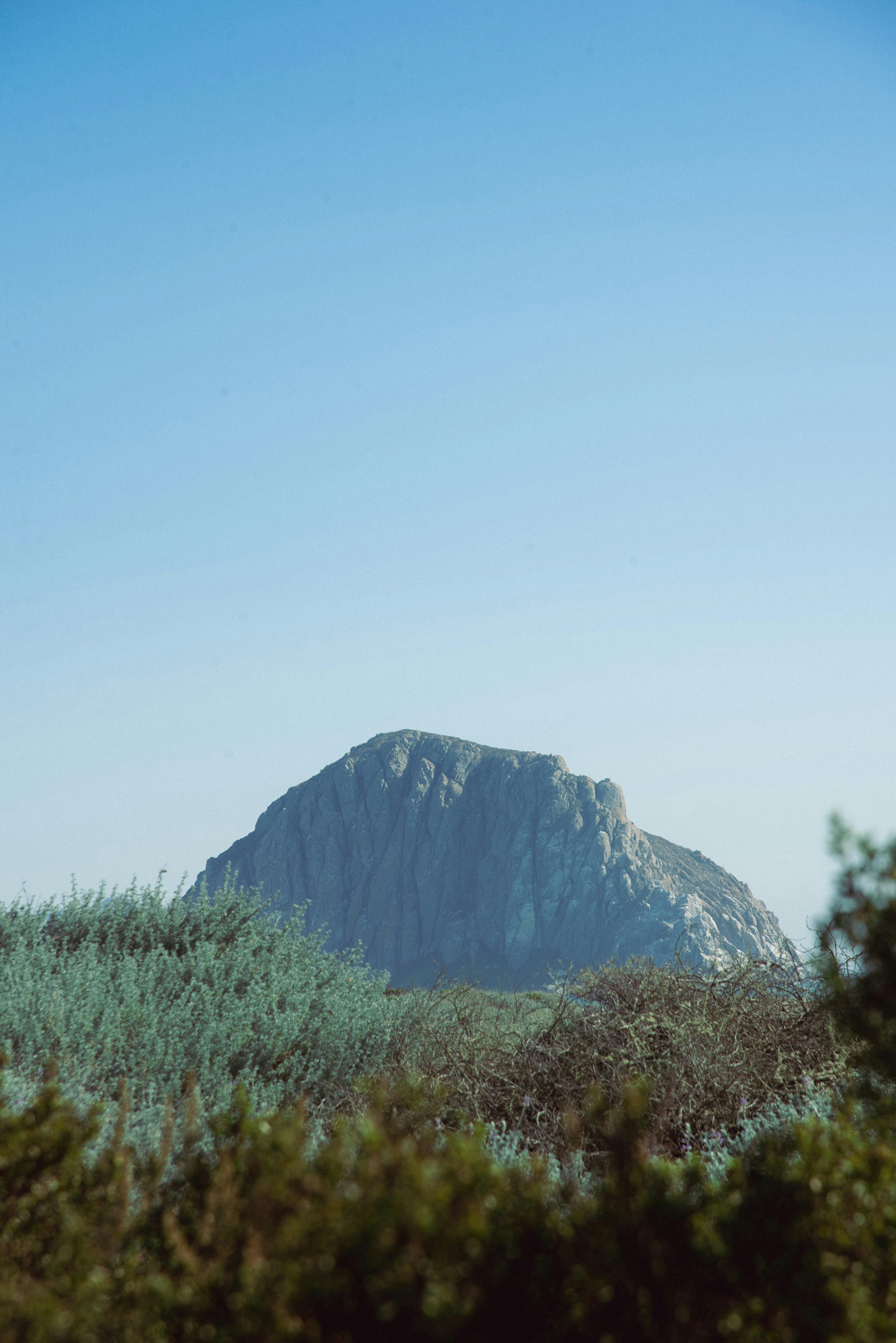 Rogelio Robles - 摄影