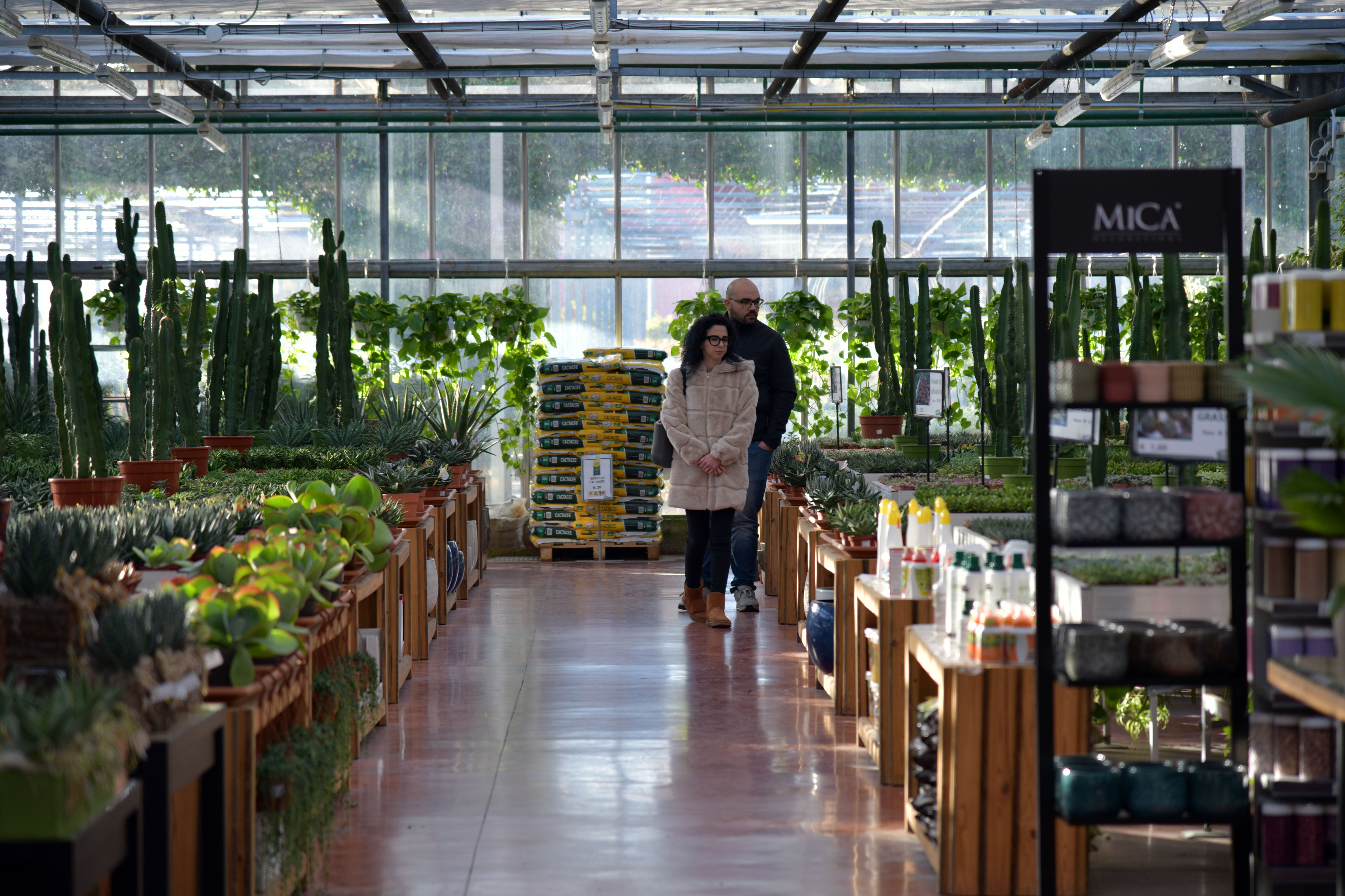 Indoor Garden Center with Diverse Plants and Customers · Free Stock Photo