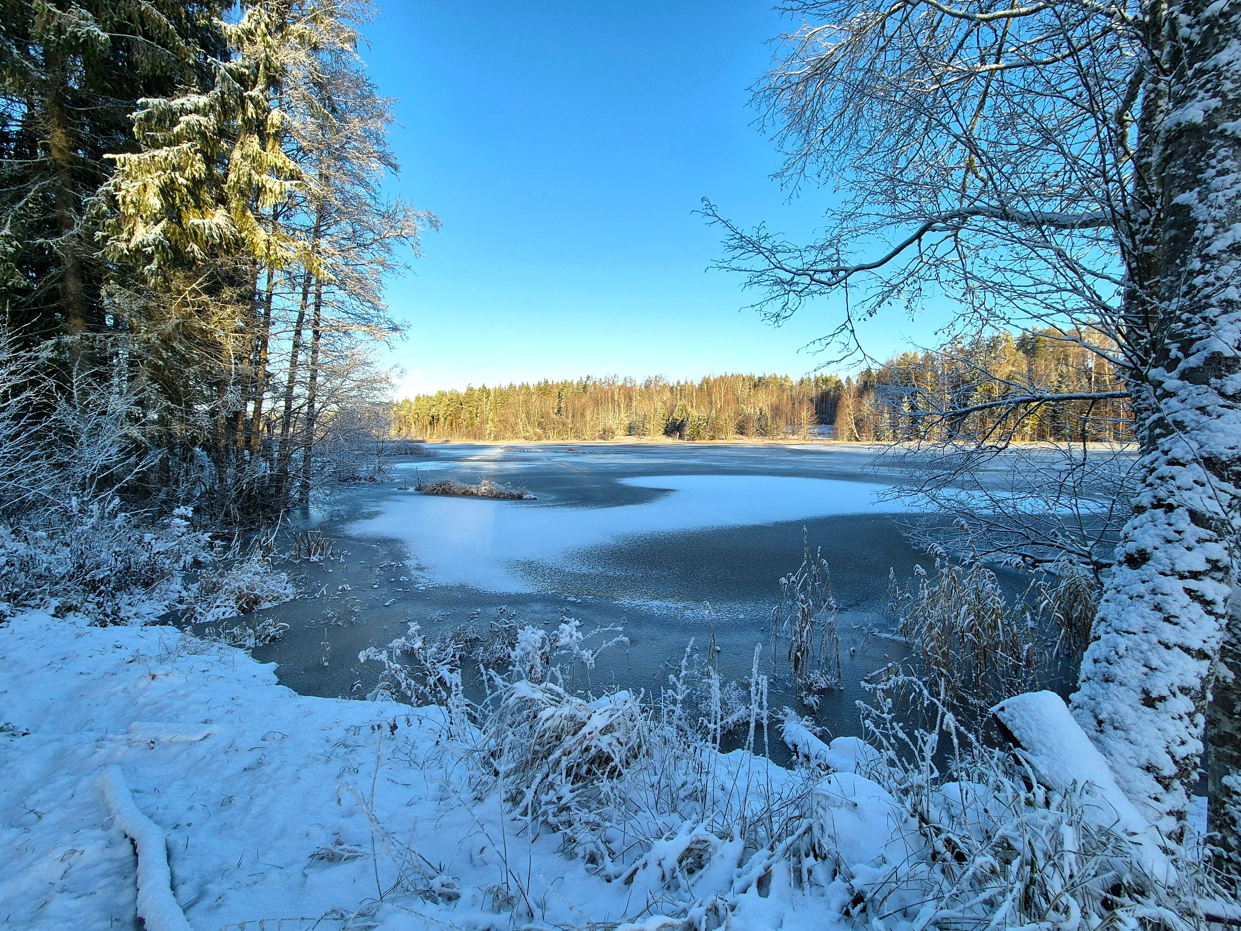 Breathtaking Winter Landscape with Frosty Lake · Free Stock Photo