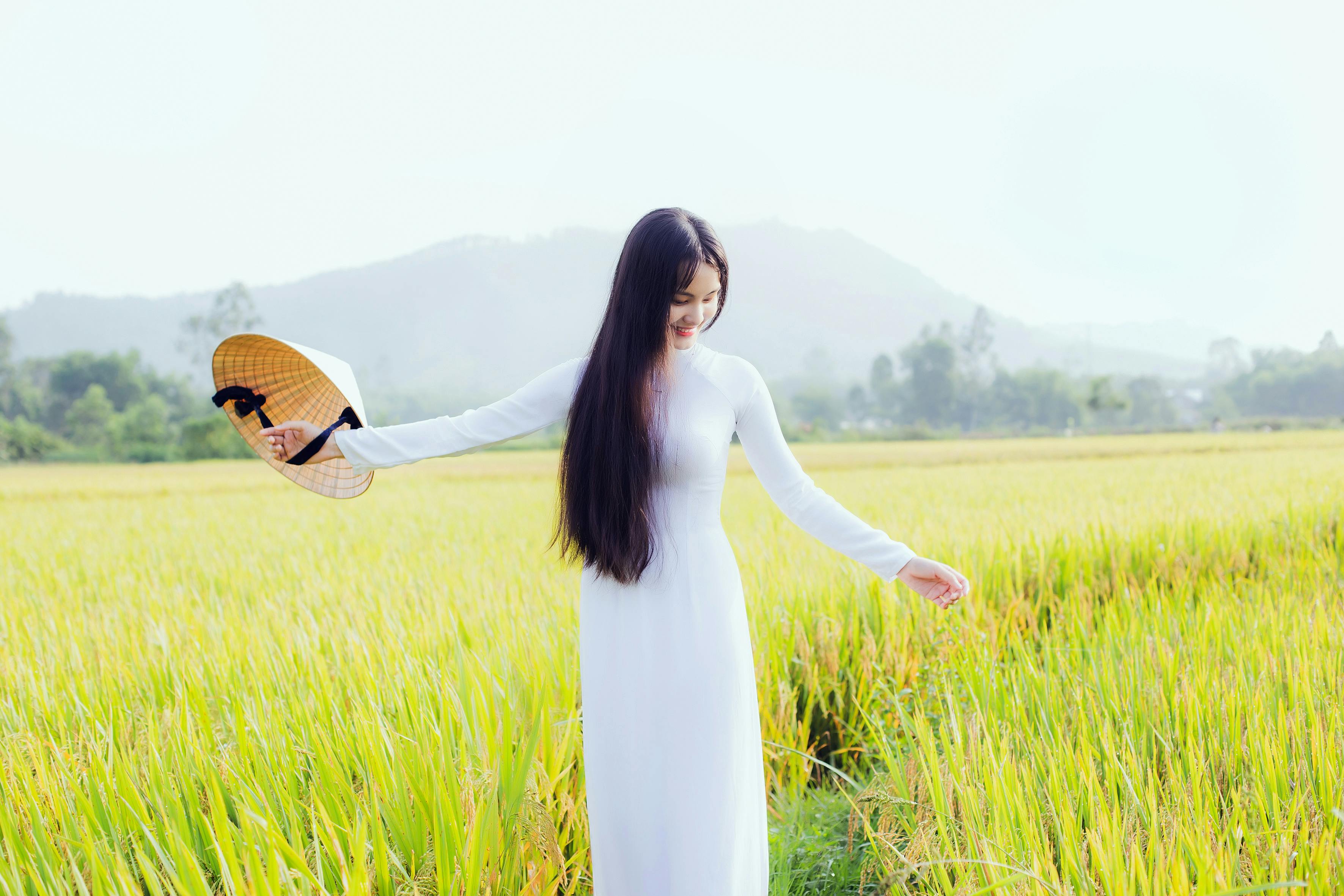Paddy Field Portrait Photos, Download The BEST Free Paddy Field ...