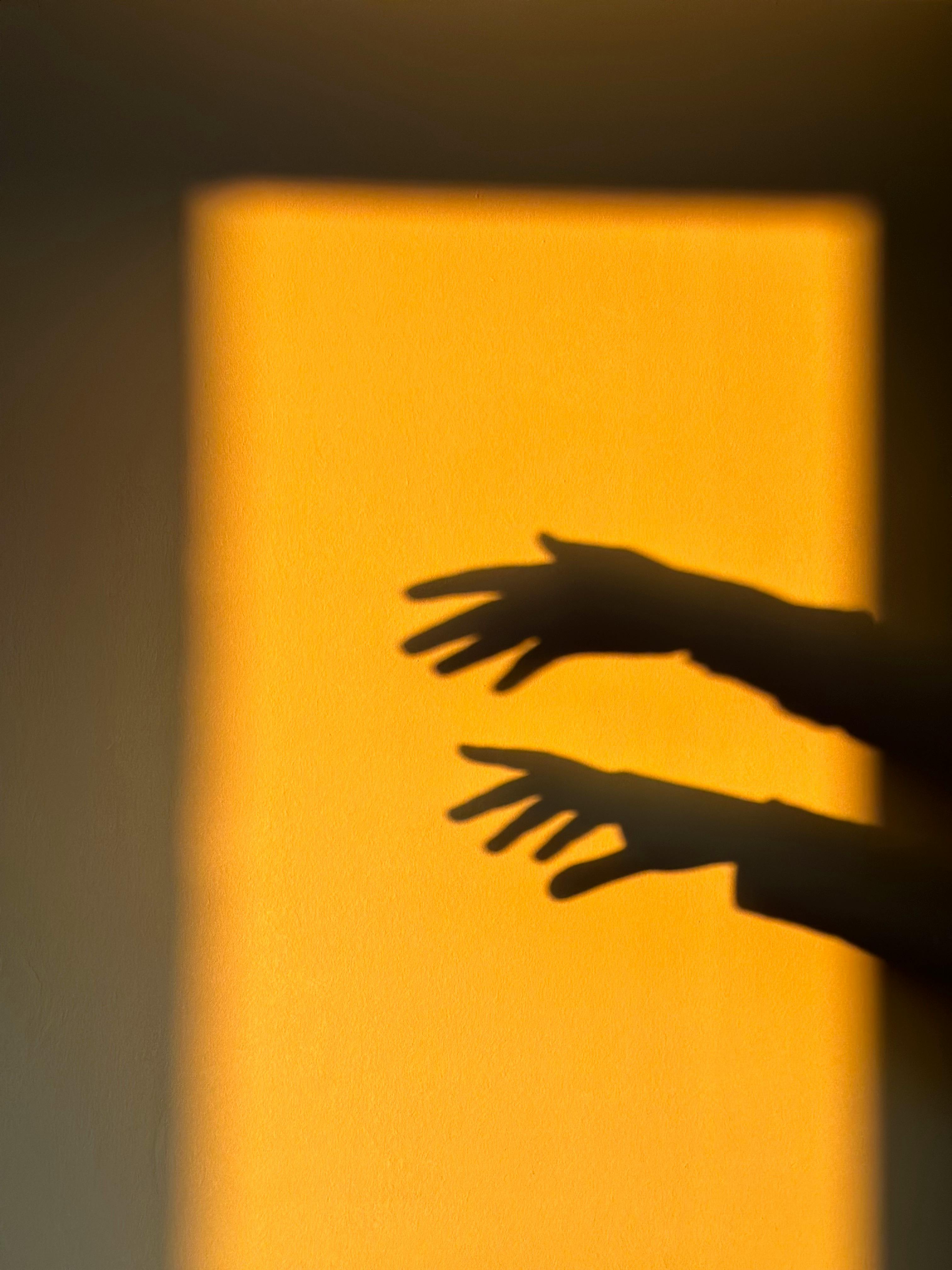 Artistic Shadow Play on a Yellow Wall · Free Stock Photo