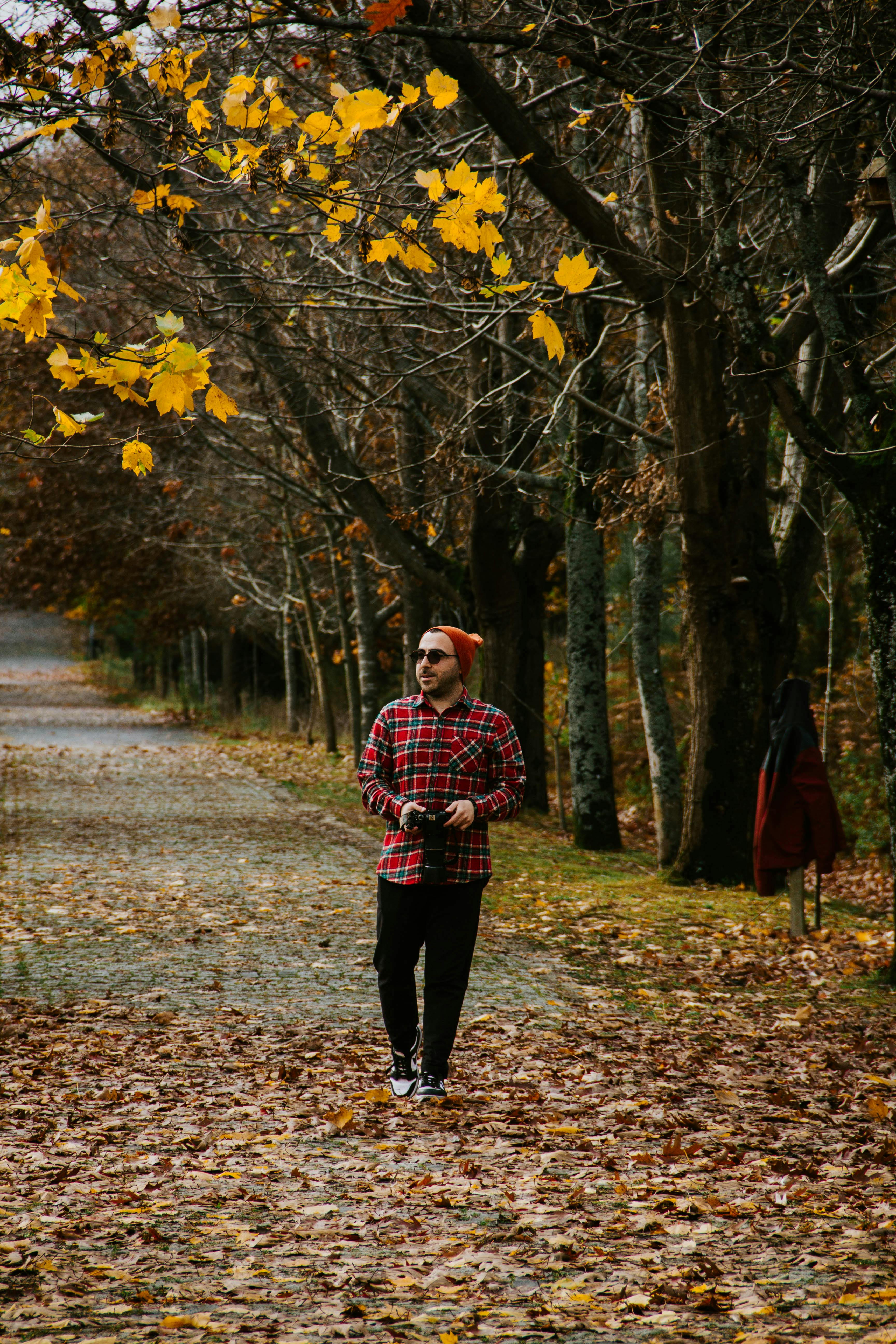 Man Walking in Autumnal İstanbul Park Pathway · Free Stock Photo