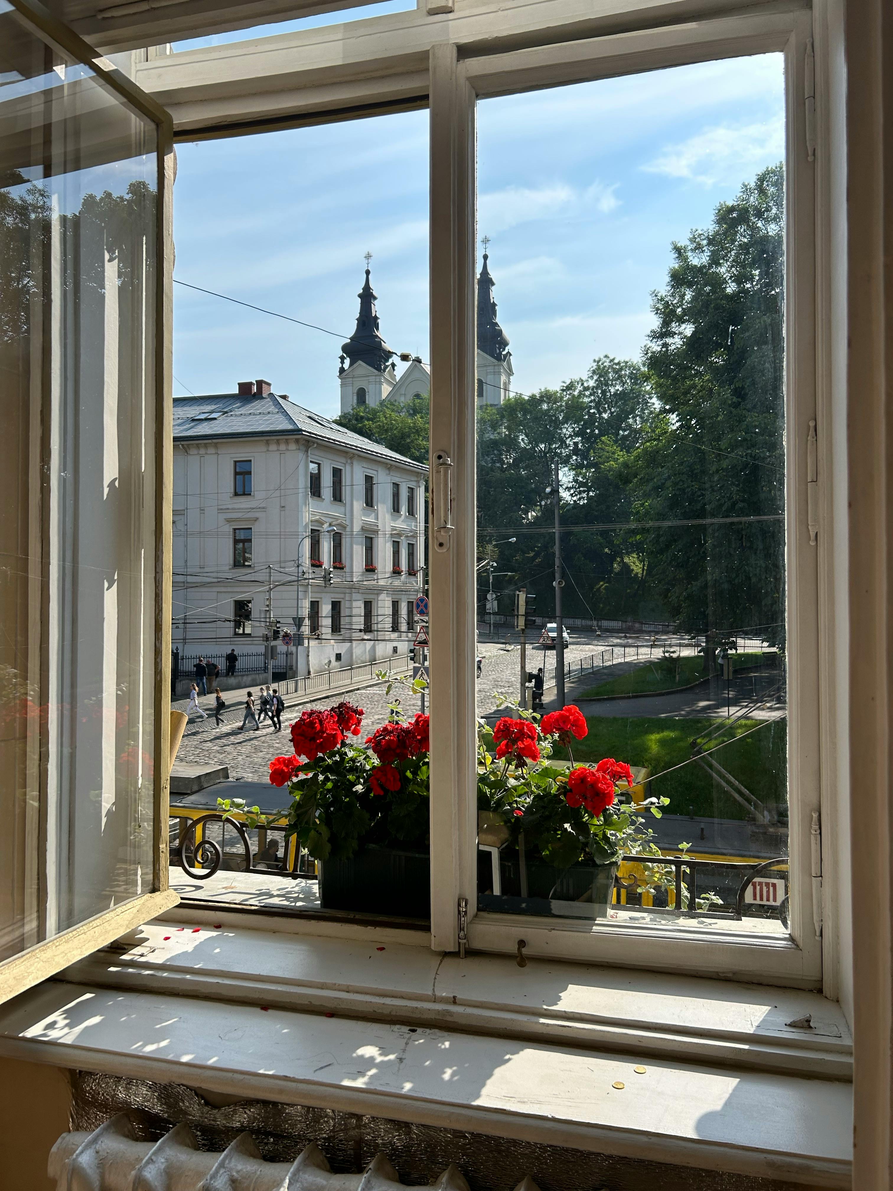 Charming City View Through Open Window with Flowers · Free Stock Photo
