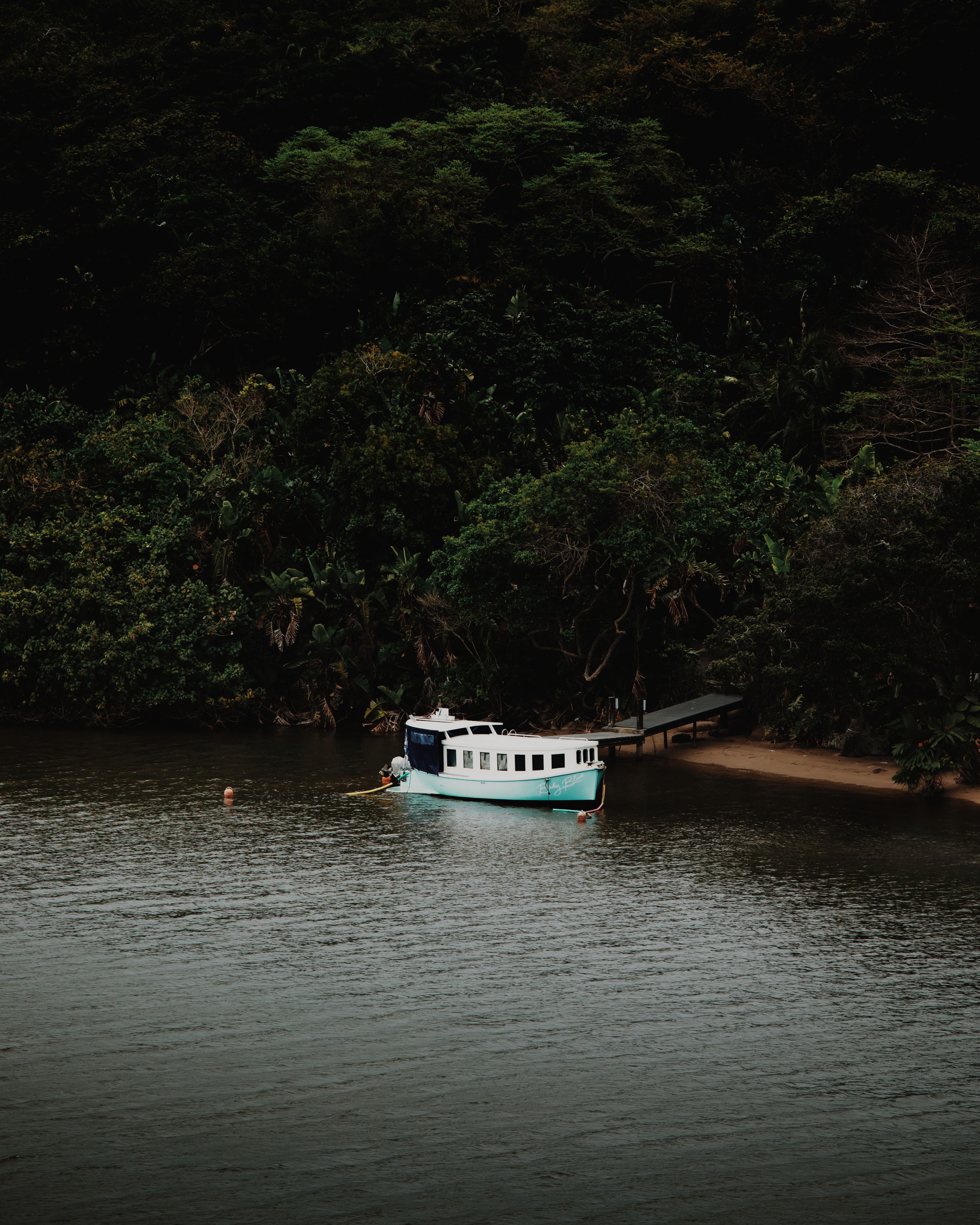 Scenic Boat on River in South African Wilderness · Free Stock Photo