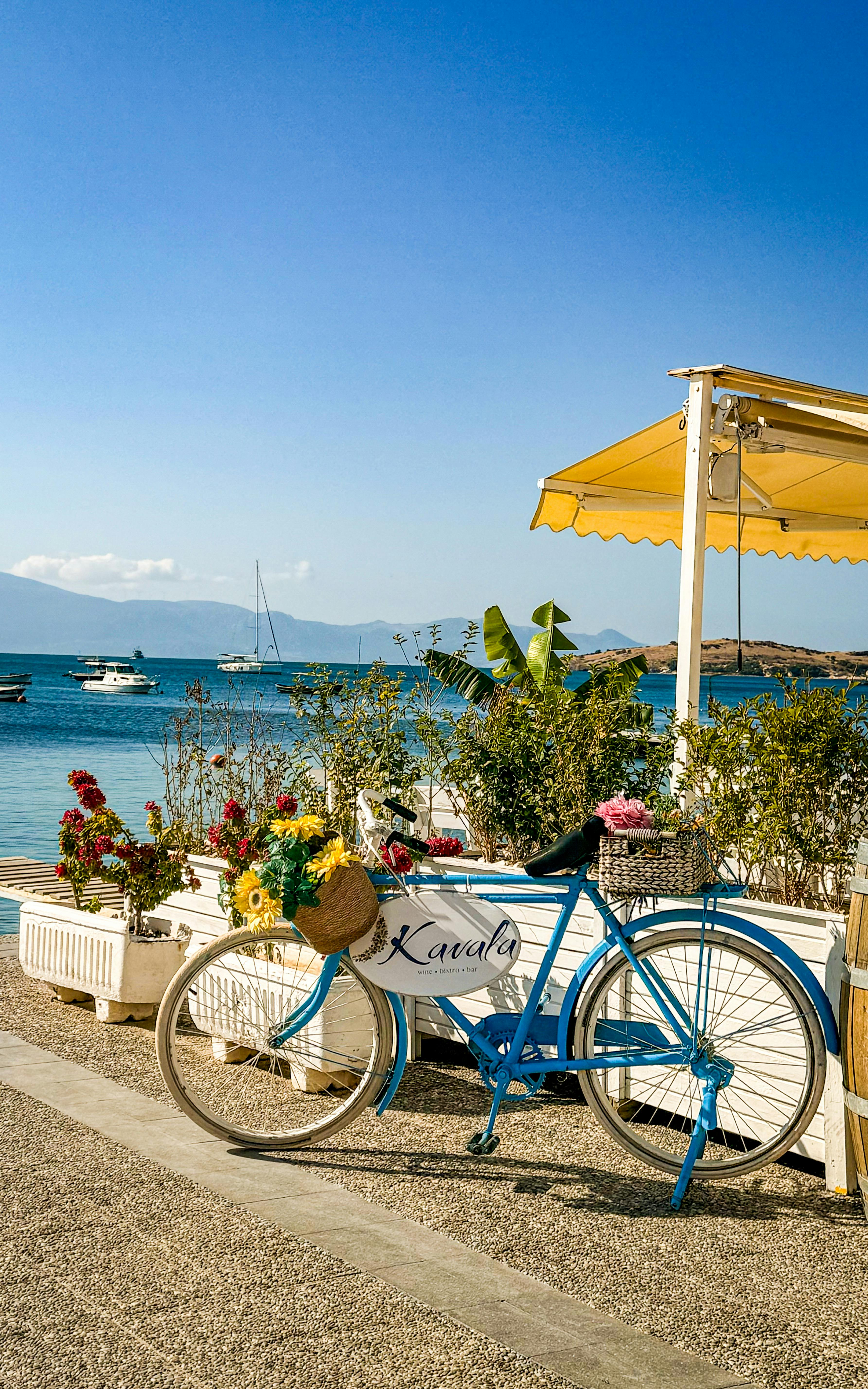 Bai Karaca Photos, Download The BEST Free Bai Karaca Stock Photos & HD ...