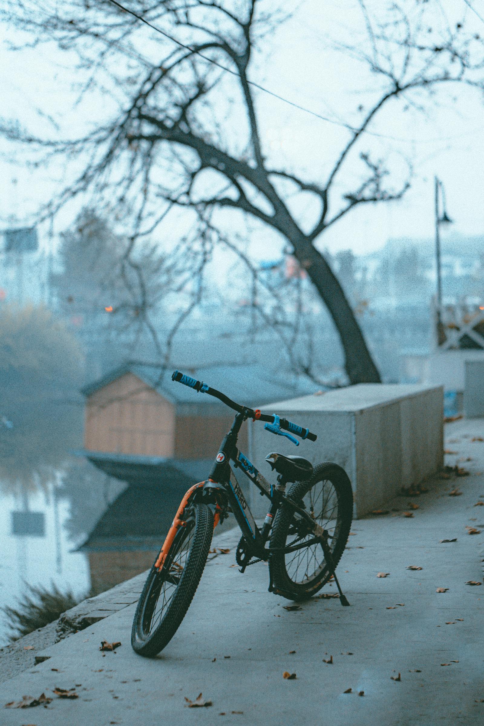 Cycle Images Photos, Download The BEST Free Cycle Images Stock Photos ...