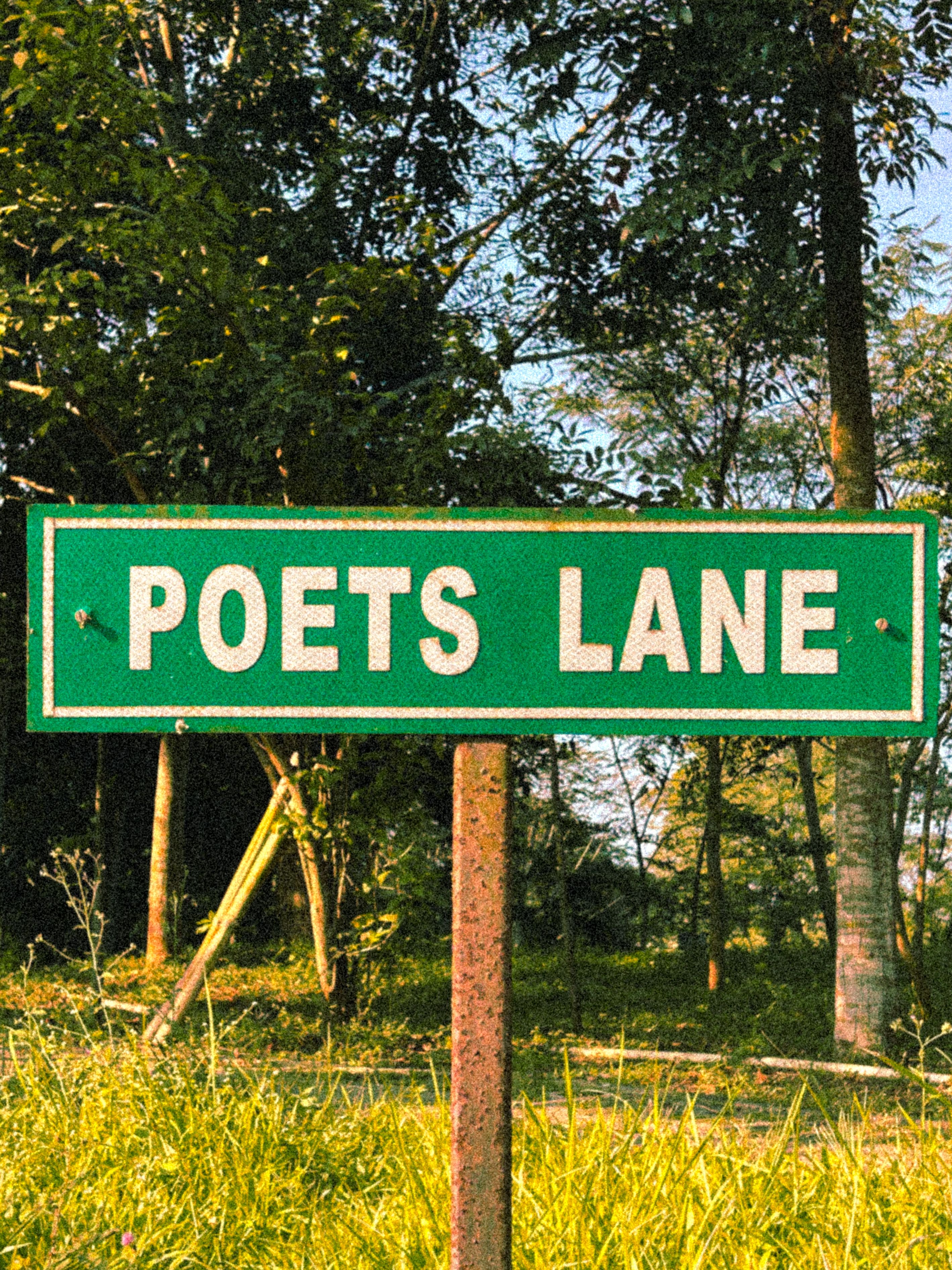 Green Sign on Poets Lane with Nature Backdrop · Free Stock Photo