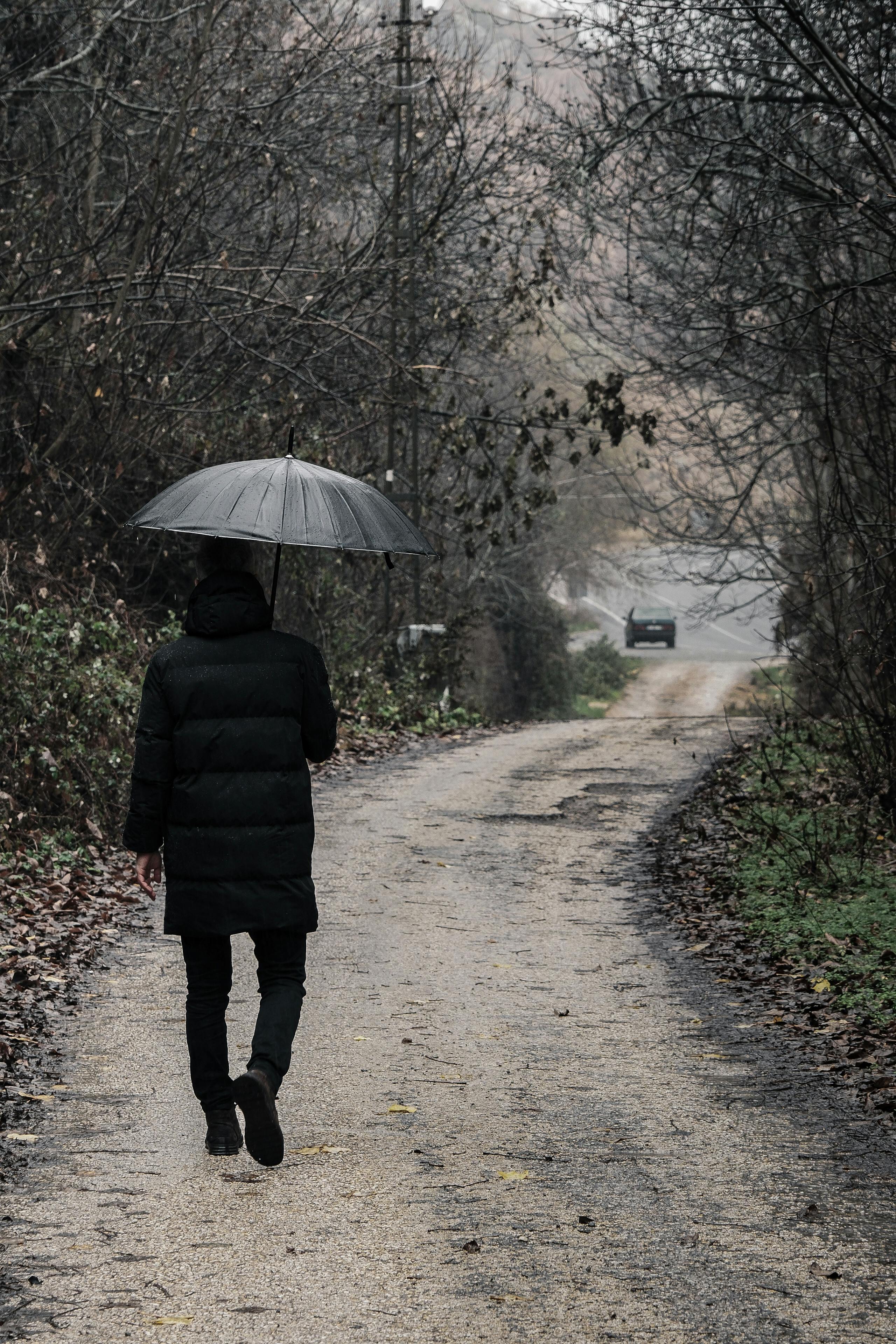 Lonely Walk on a Rainy Path in Autumn · Free Stock Photo