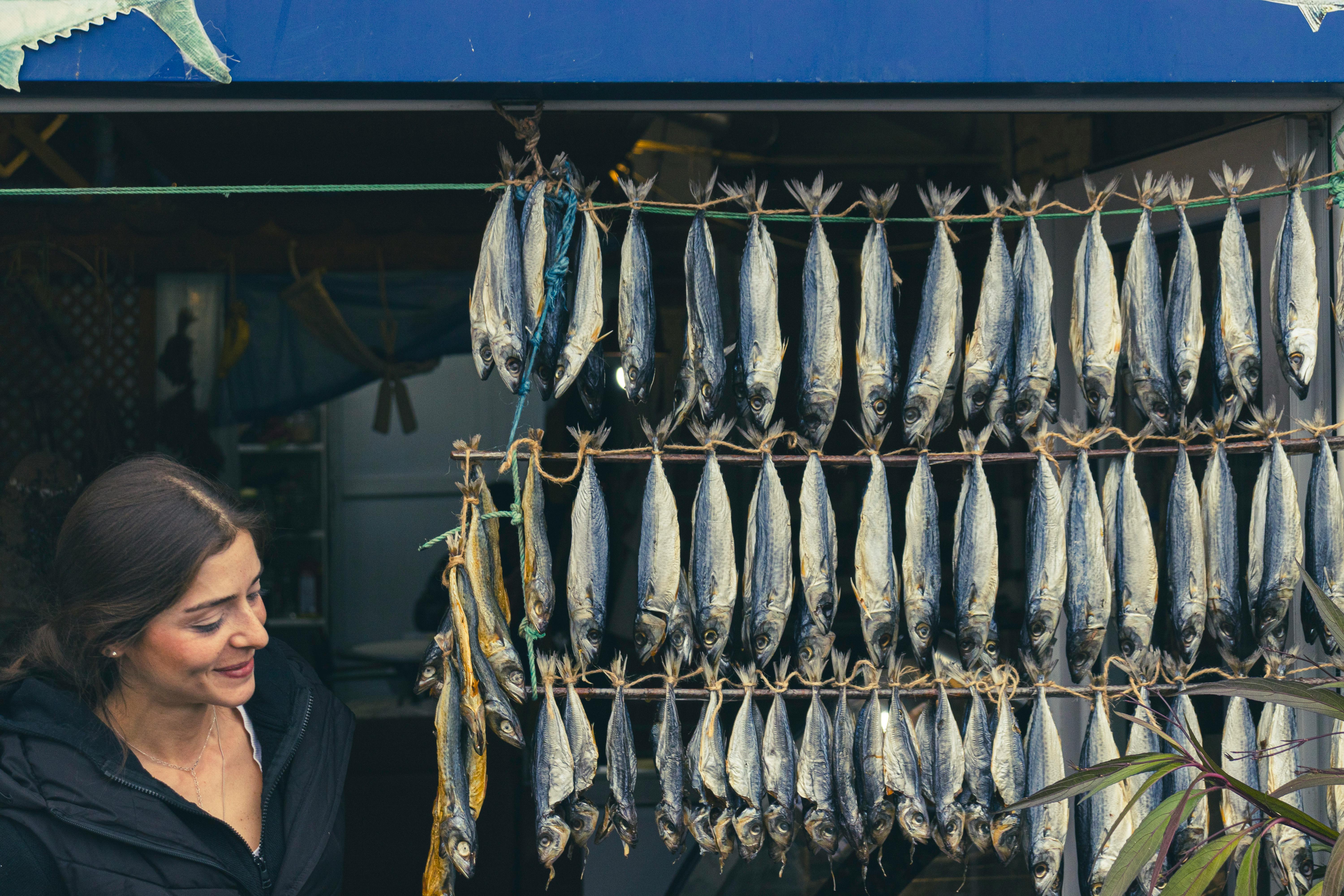 Bangus Fish Photos, Download The BEST Free Bangus Fish Stock Photos ...