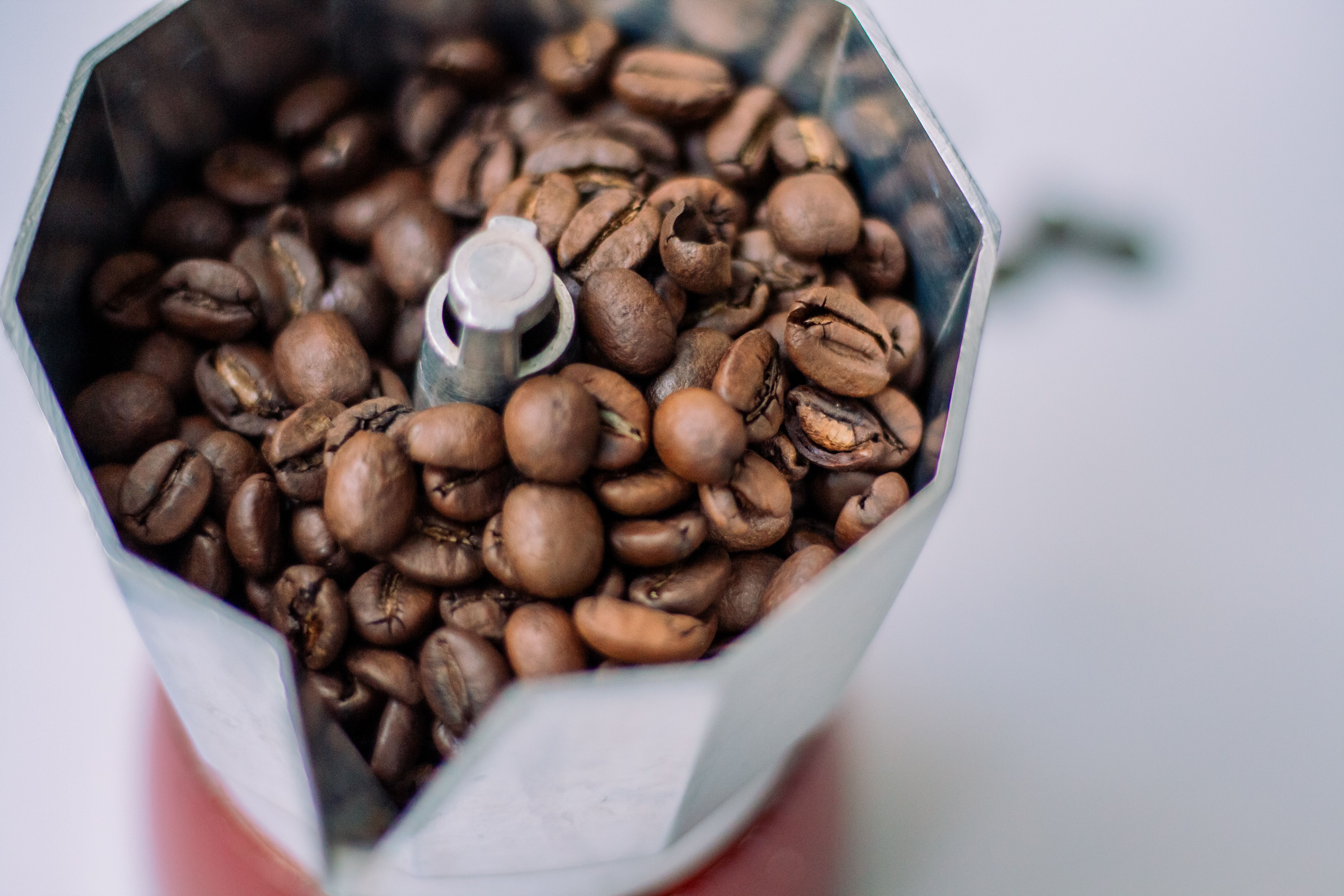 Close-up of Coffee Beans in Moka Pot · Free Stock Photo