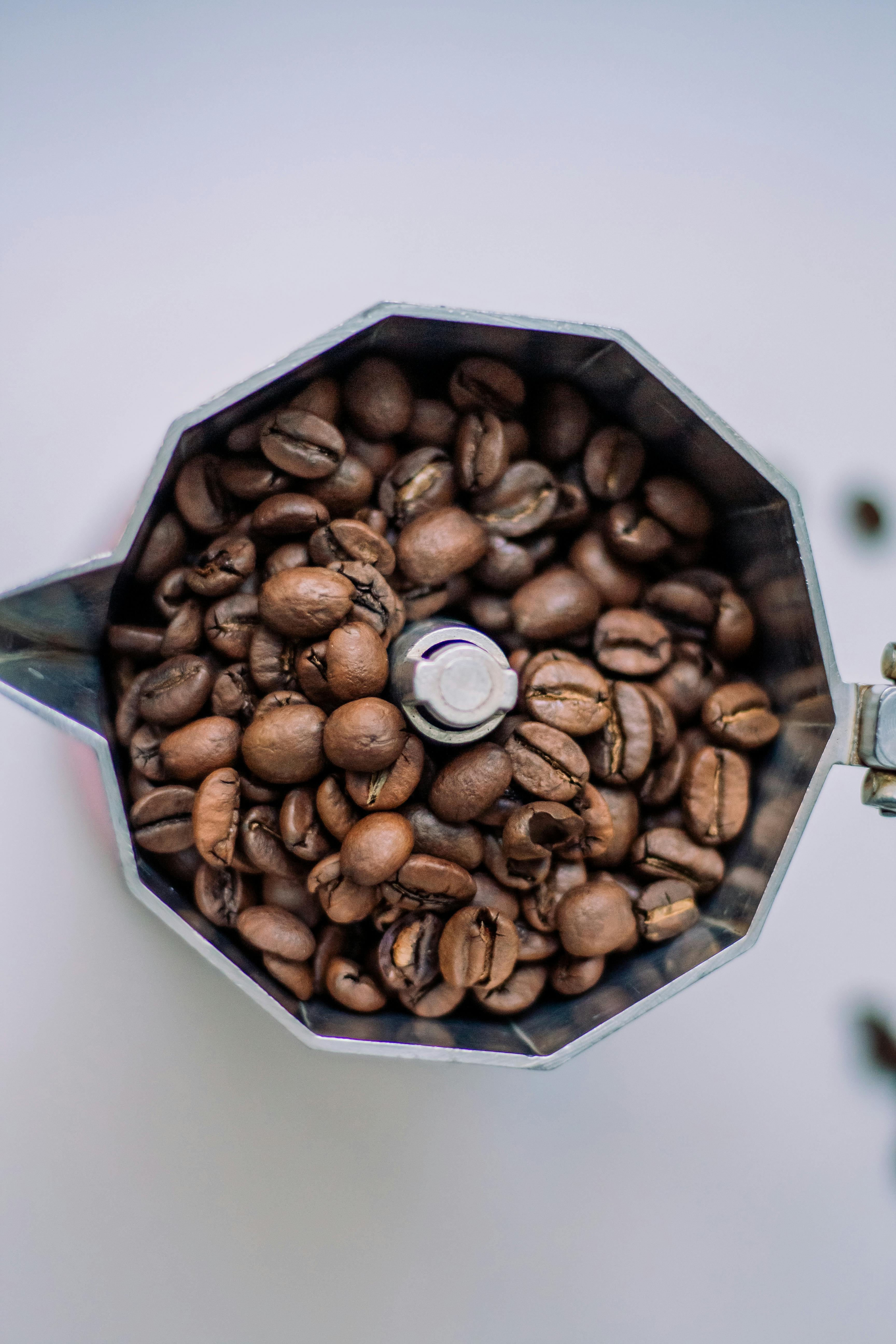 Aerial View of Coffee Beans in Moka Pot · Free Stock Photo