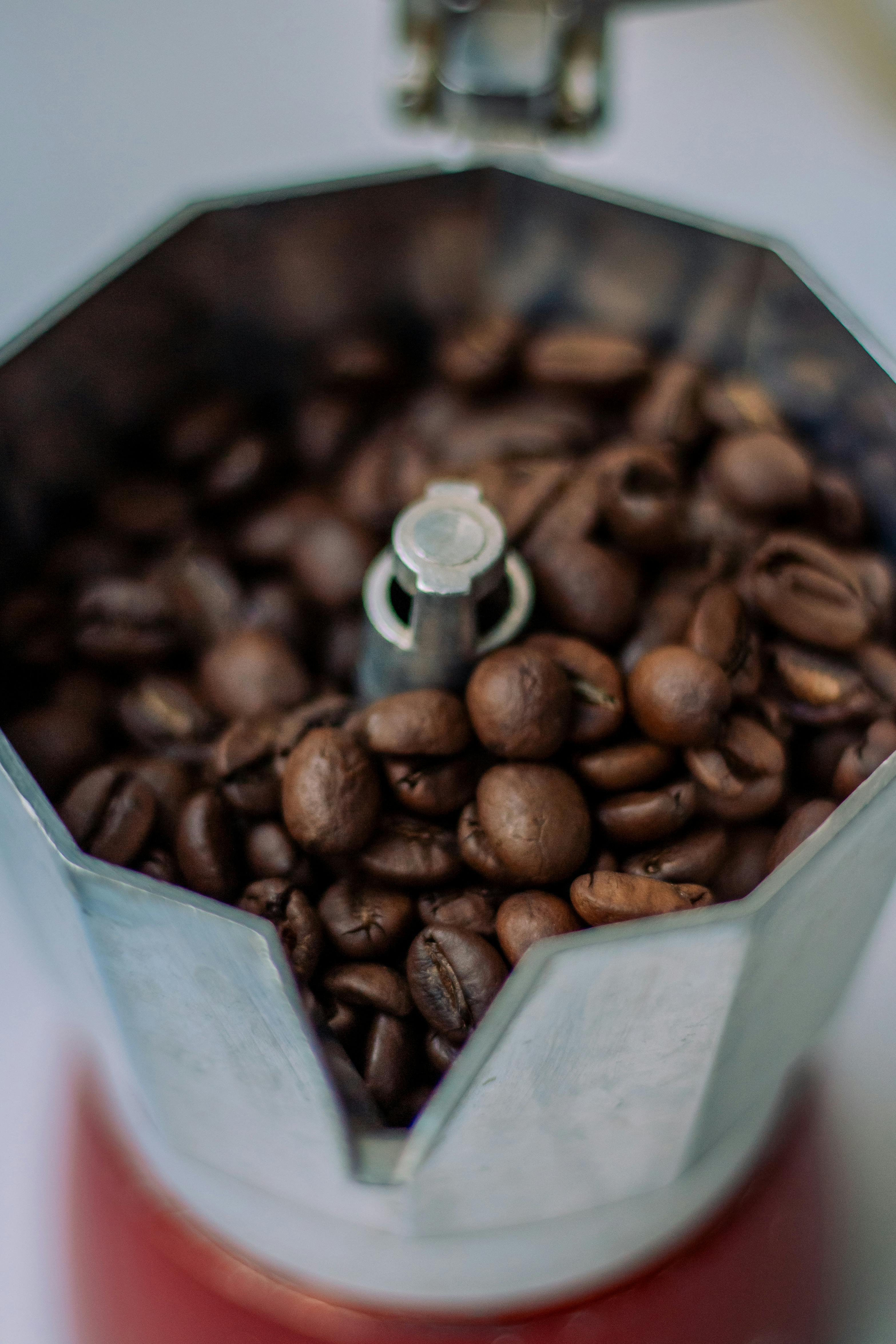 Close-up of Coffee Beans in Moka Pot · Free Stock Photo