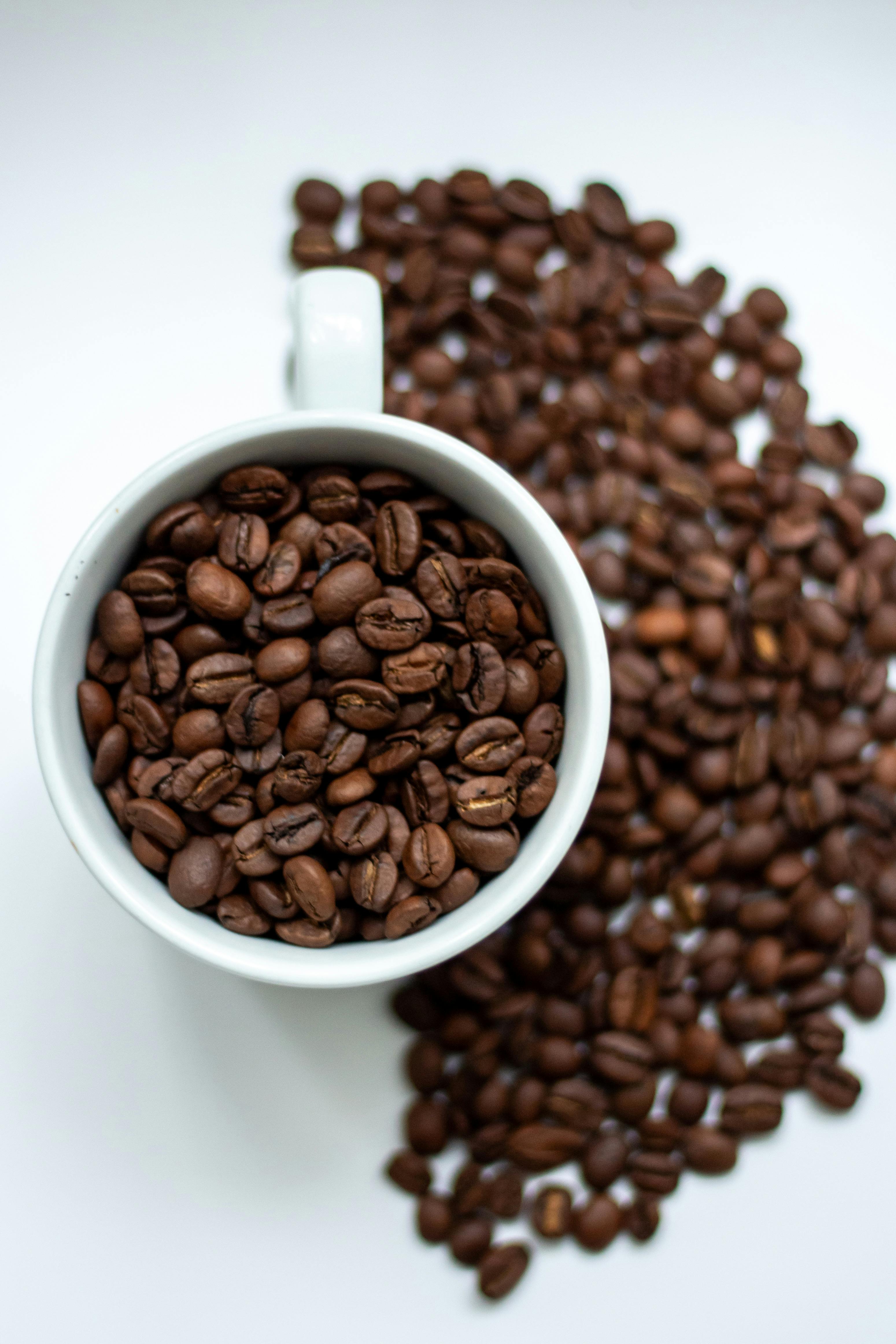 Bean Kata Photos, Download The BEST Free Bean Kata Stock Photos & HD Images