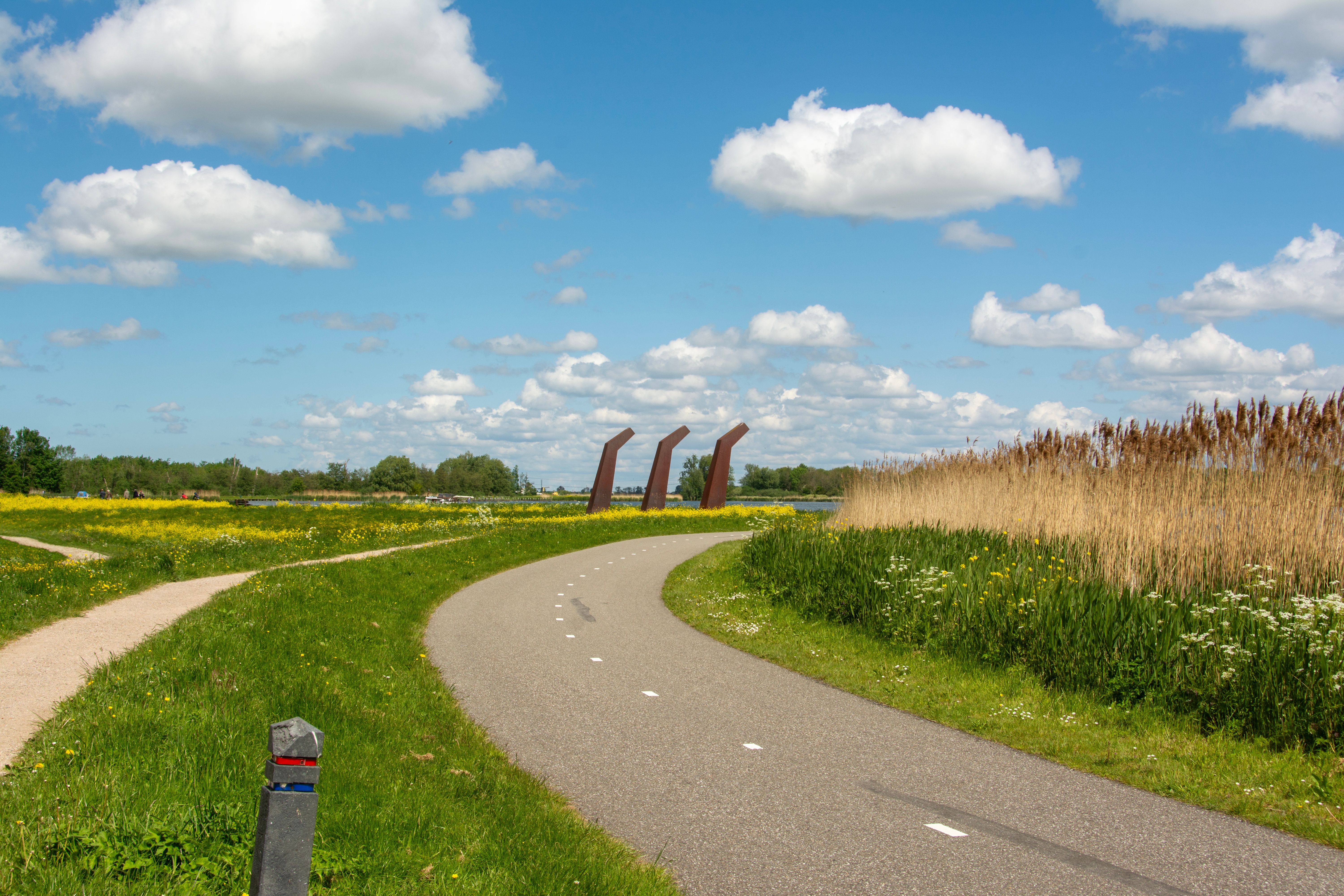 Scenic Curved Pathway in Green Countryside · Free Stock Photo