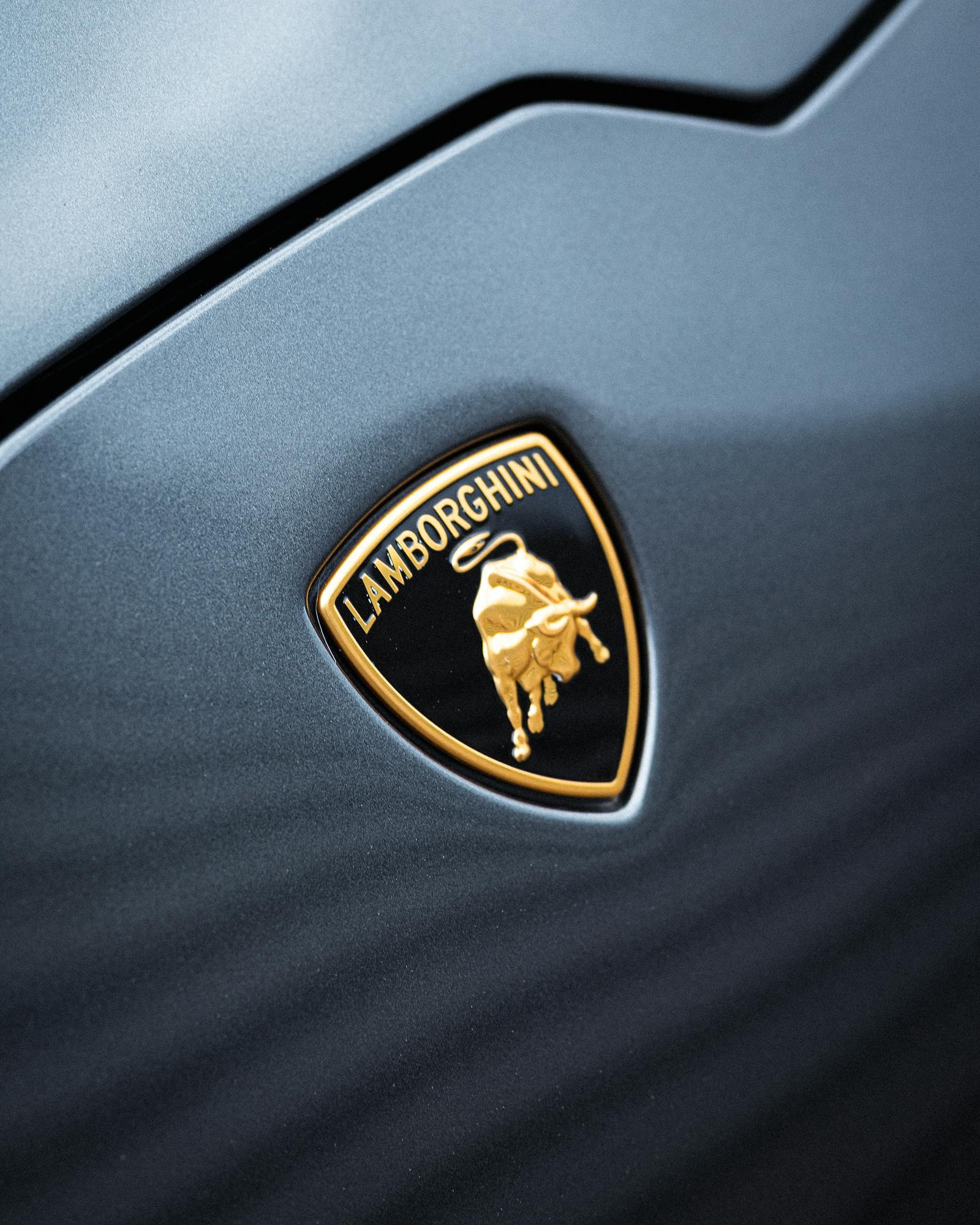 Lambo Logo Photos, Download The BEST Free Lambo Logo Stock Photos & HD ...