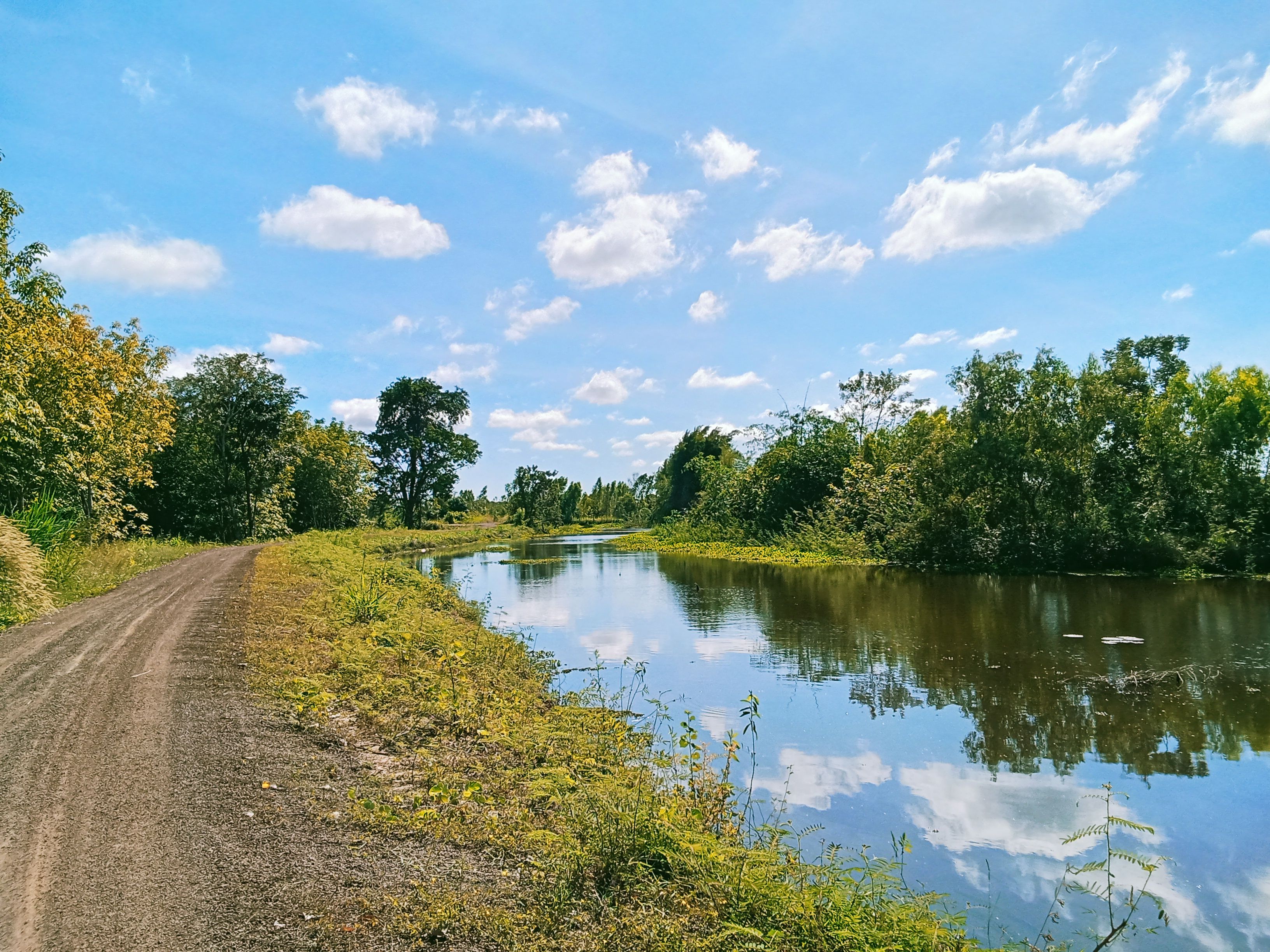 Sunny Riverside Path with Reflective Water · Free Stock Photo