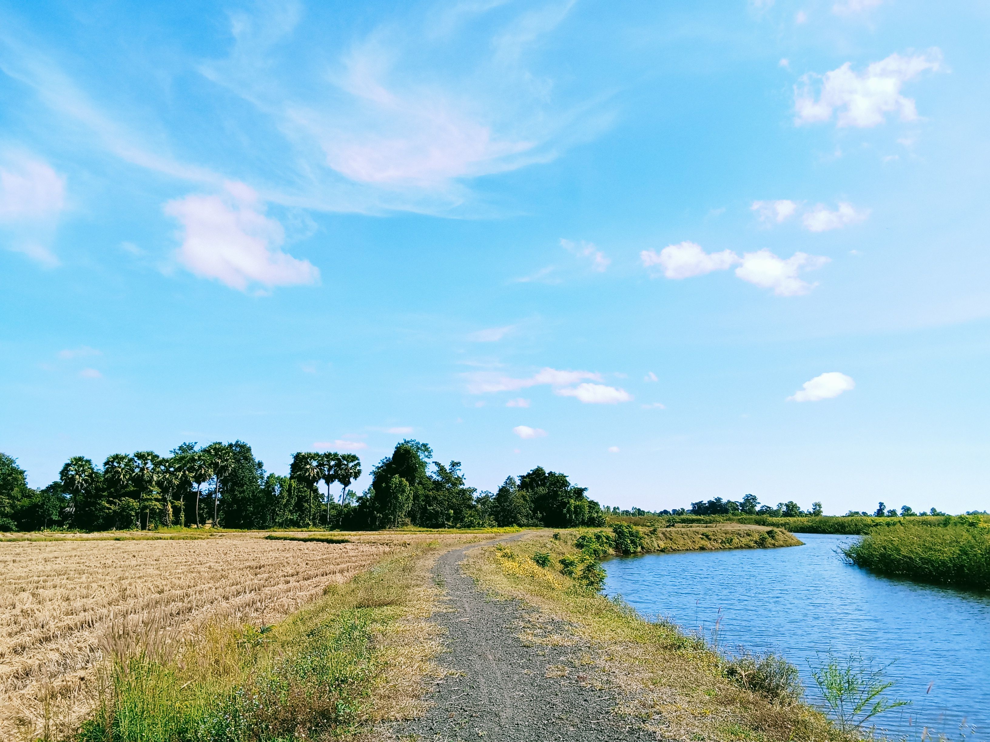 Serene Countryside Path Along a Tranquil River · Free Stock Photo