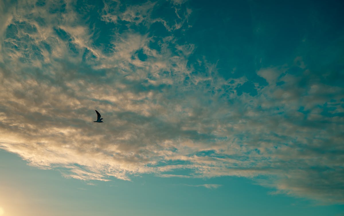 Color: Blue Photos, Download The BEST Free Color: Blue Stock Photos ...