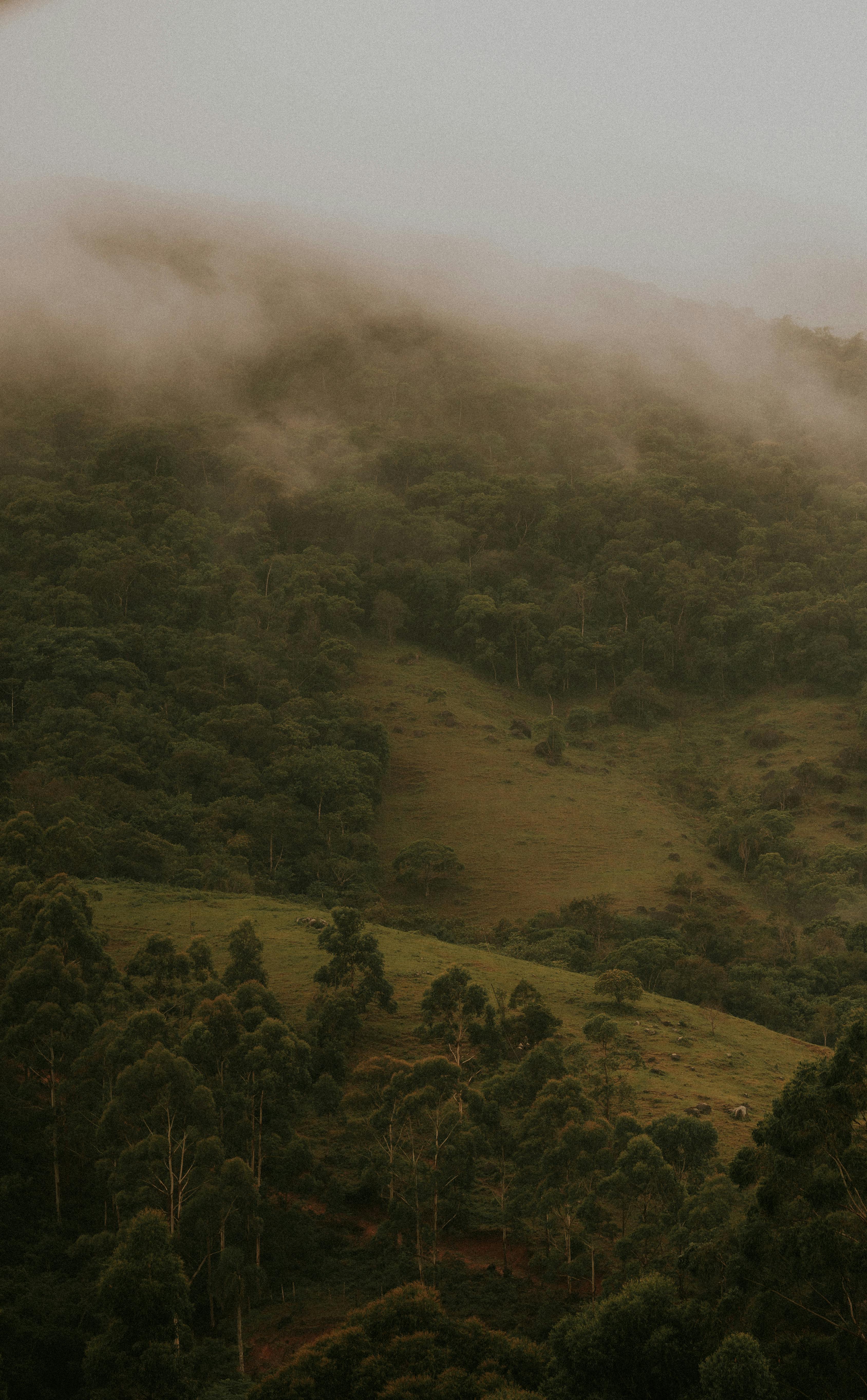 Overcast Shadows Photos, Download The BEST Free Overcast Shadows Stock ...