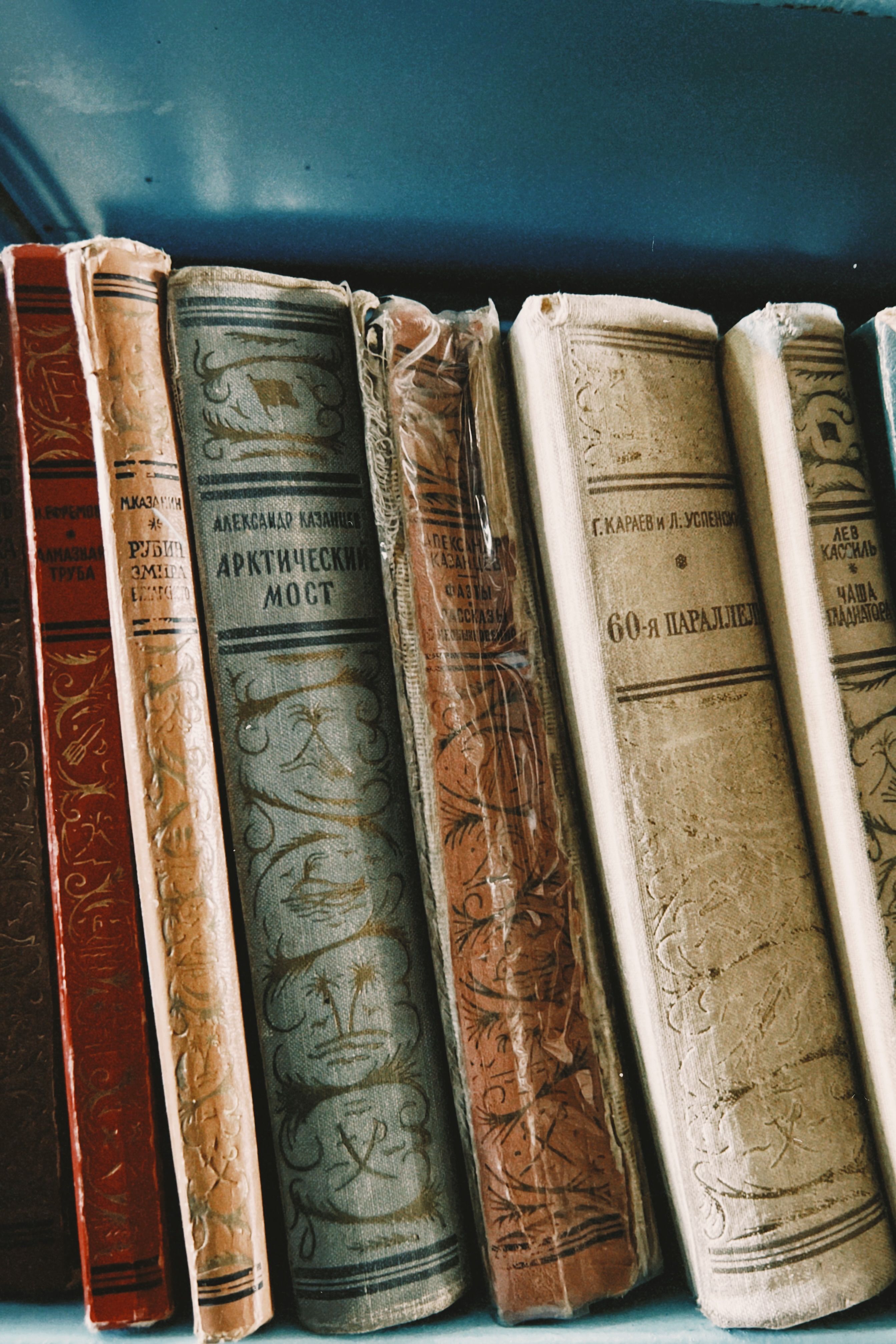 Vintage Bookshelf with Classic Literature in Talgar Library · Free ...