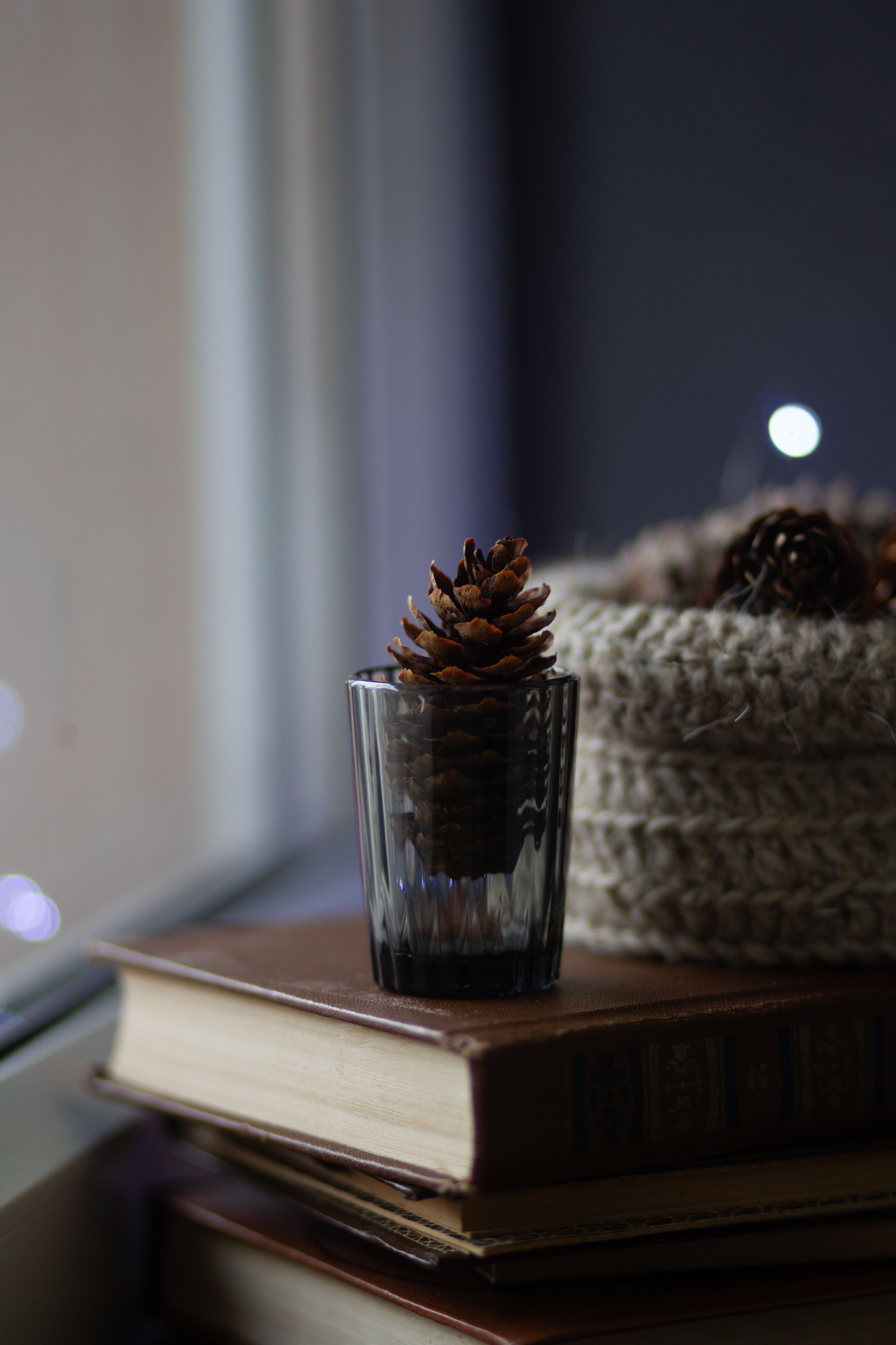 Cozy Winter Scene with Pinecones and Books · Free Stock Photo