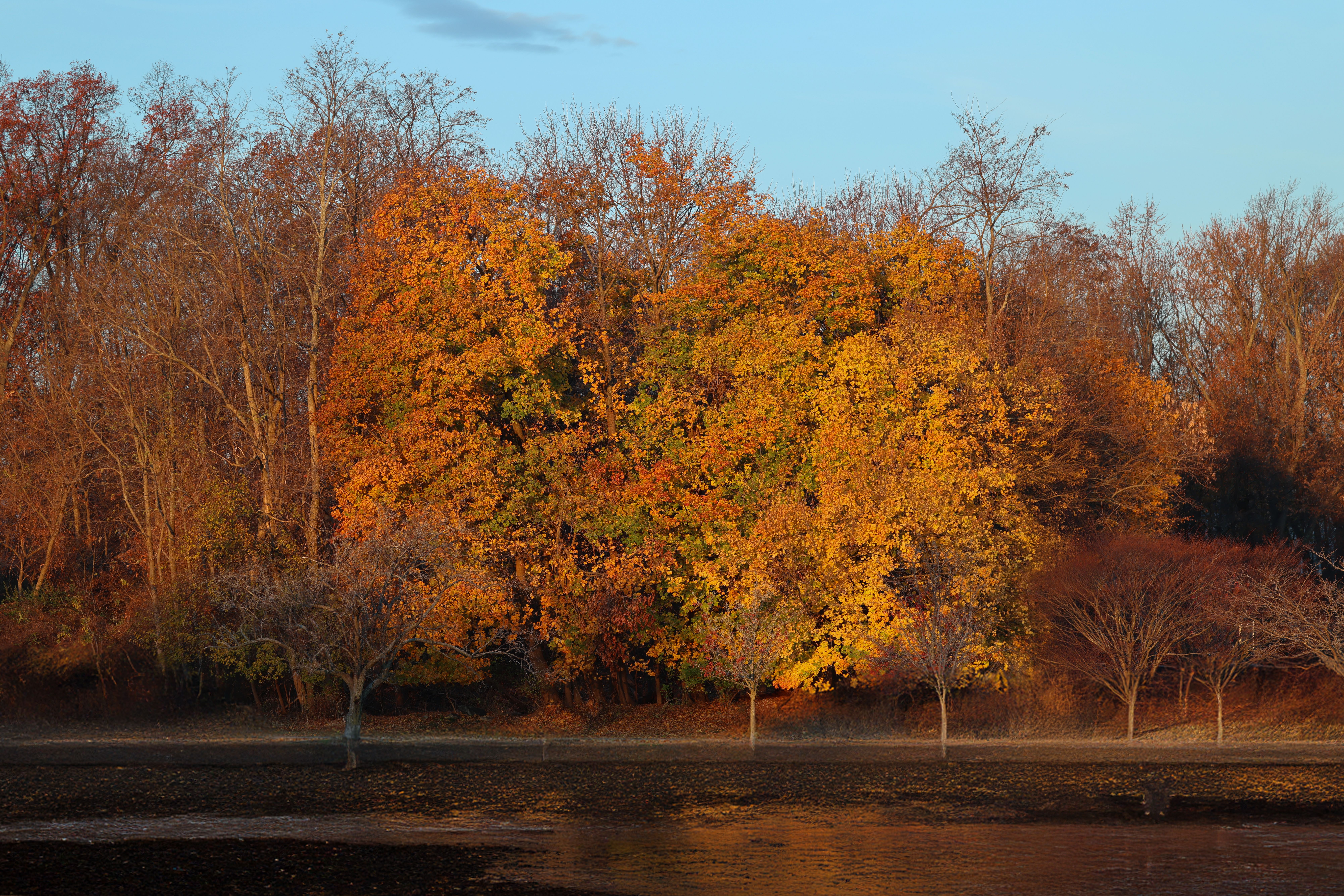 Tin November Photos, Download The BEST Free Tin November Stock Photos ...