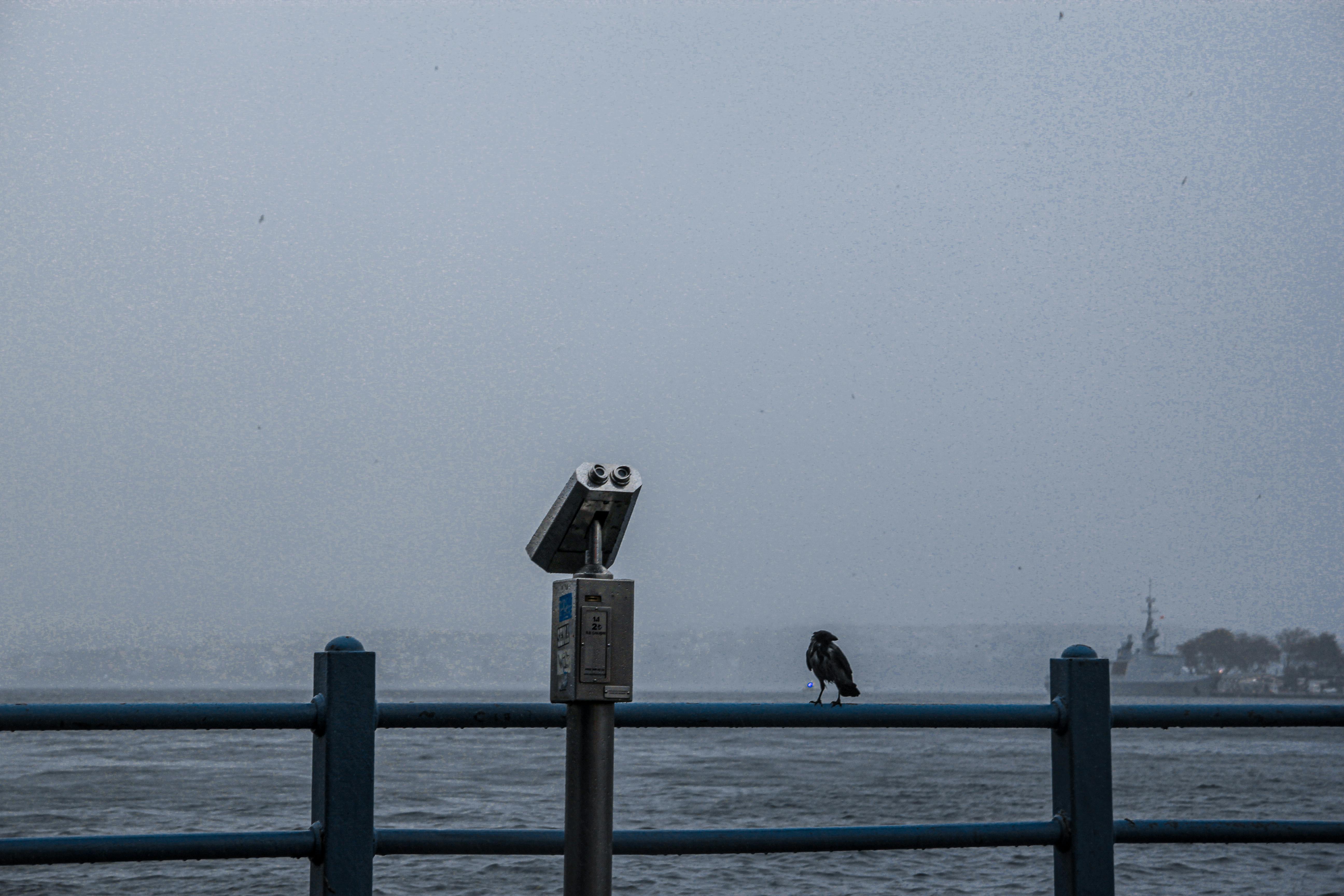 Urban Lookout Photos, Download The BEST Free Urban Lookout Stock Photos ...