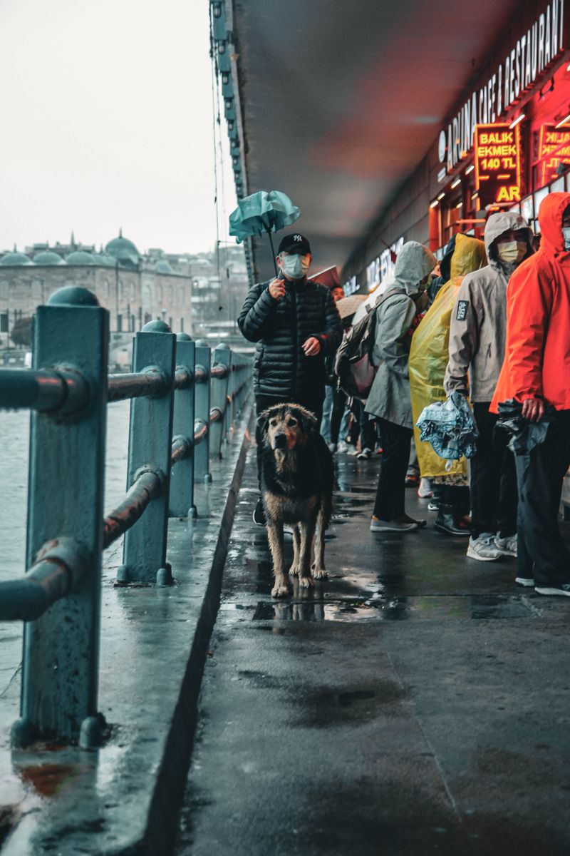 People Waiting In Line Photos, Download The BEST Free People Waiting In ...