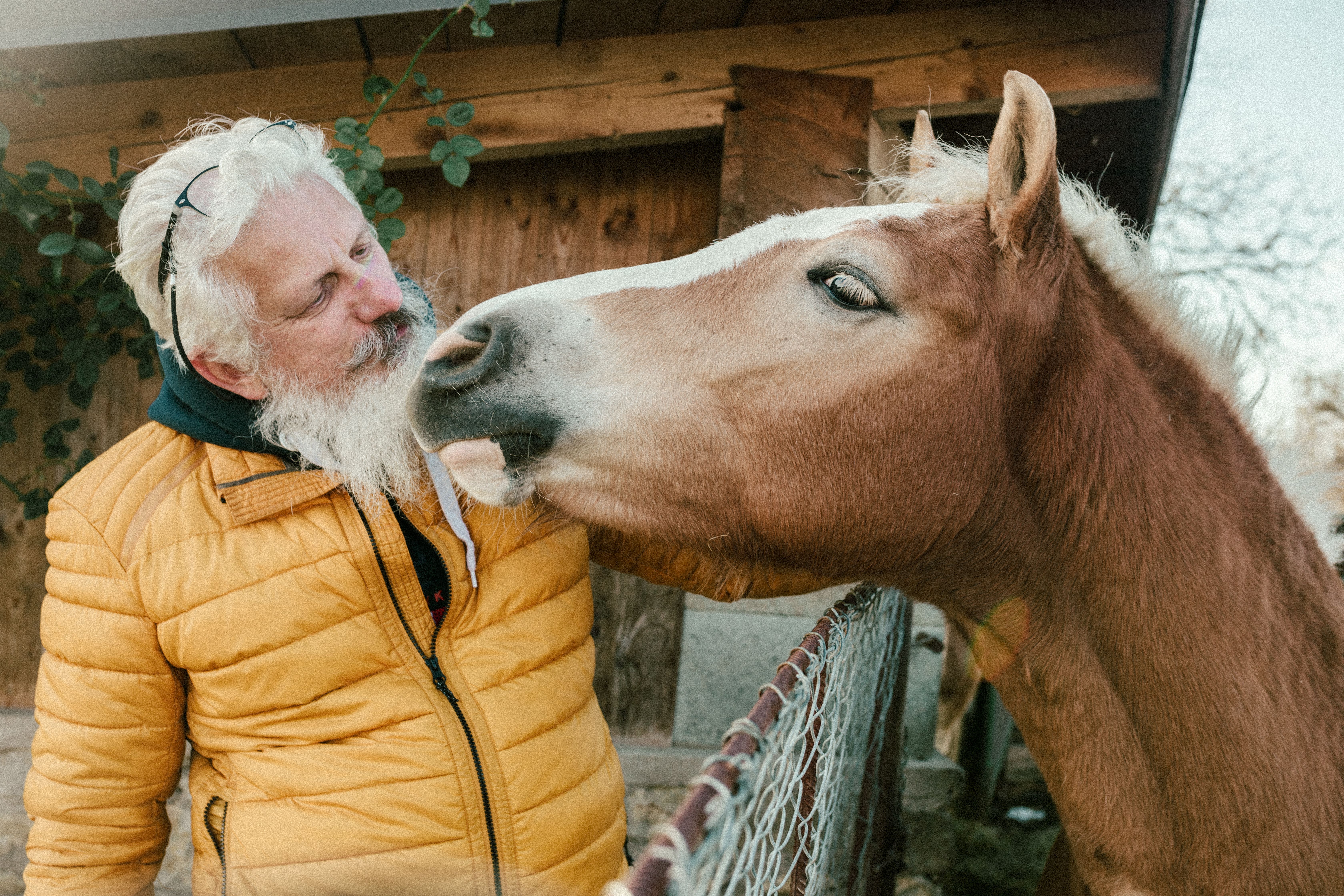 Man Bonding with a Horse on Farm · Free Stock Photo