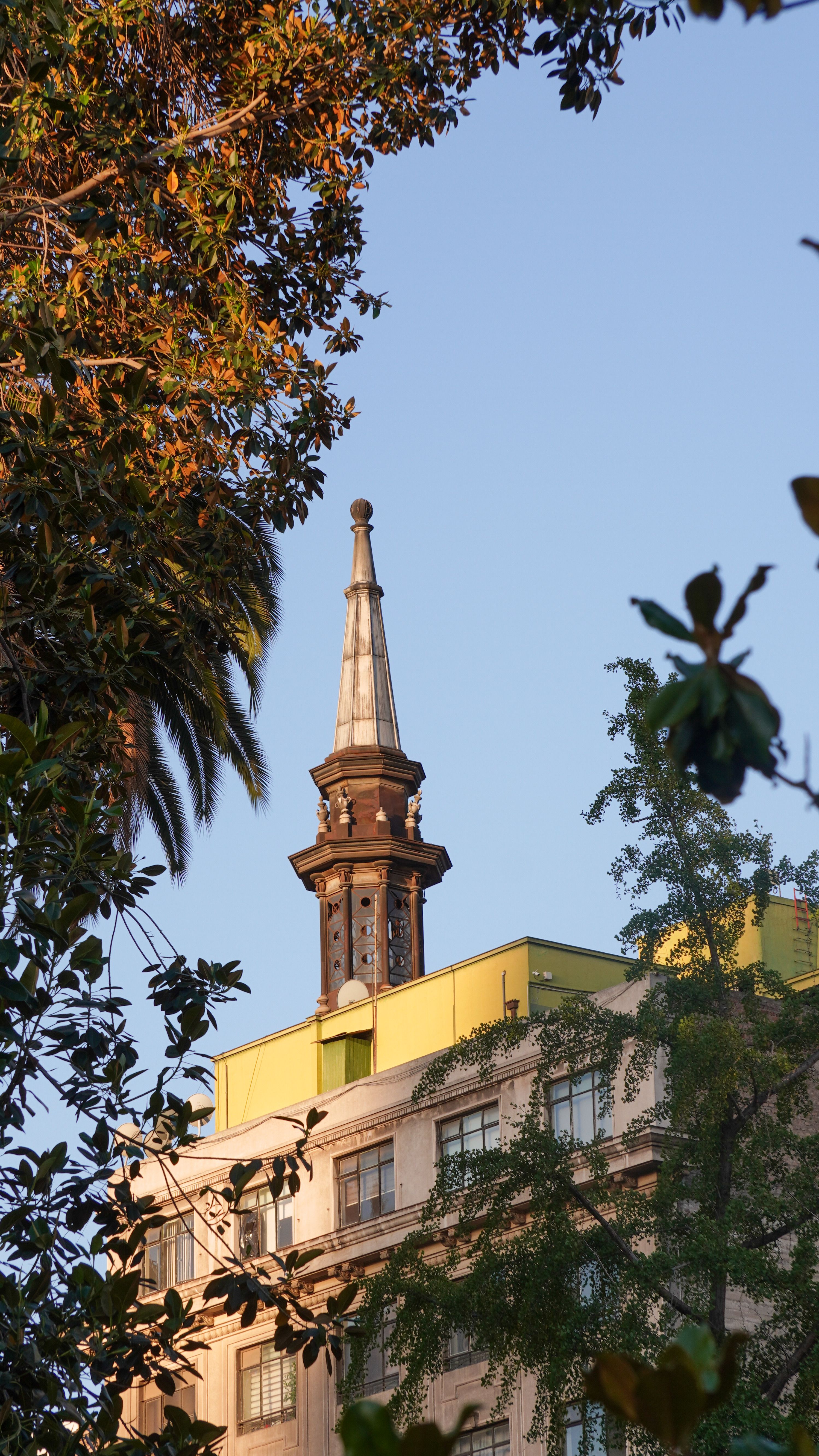 Historic Spire Above Cityscape Framed by Trees · Free Stock Photo