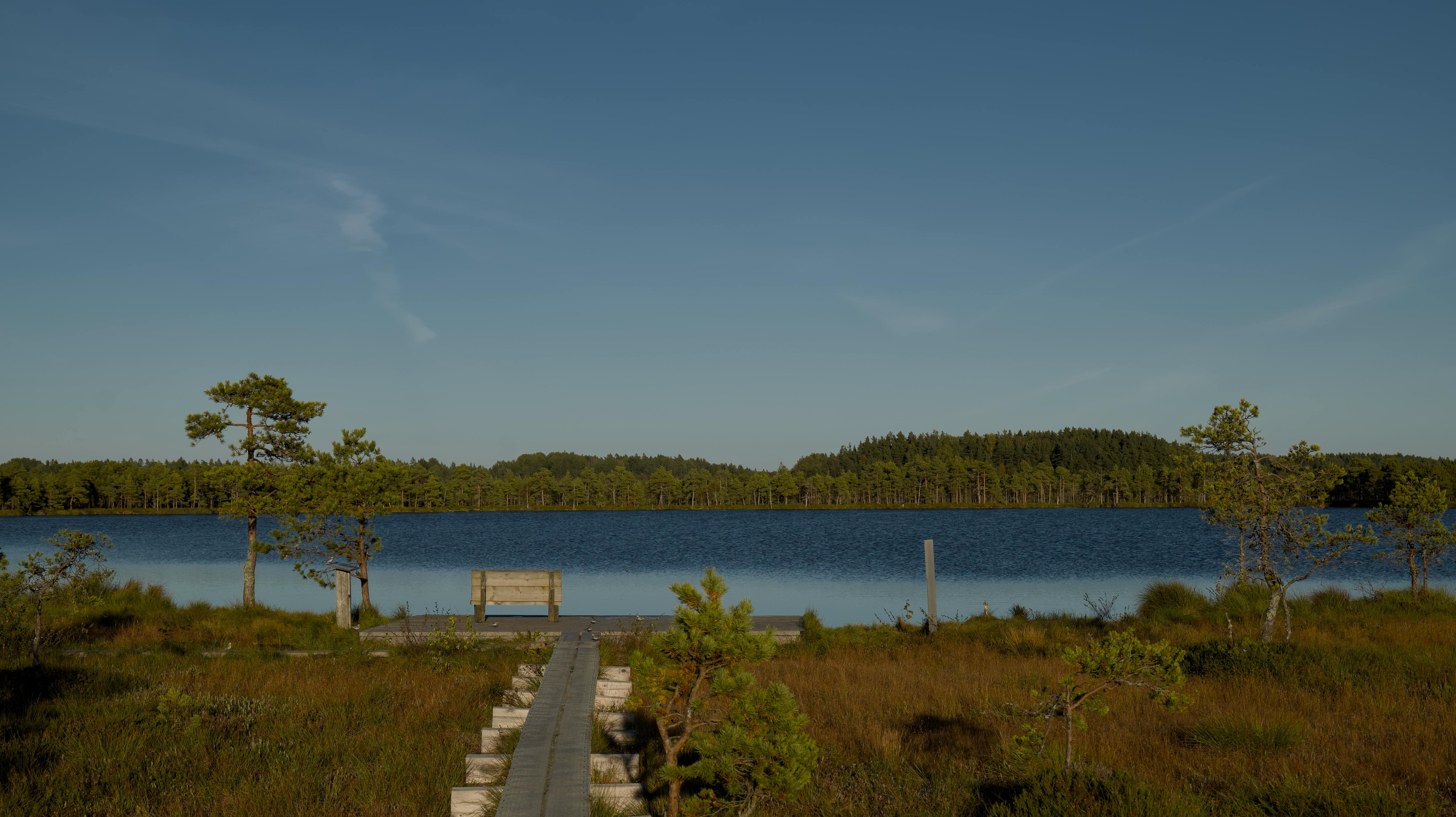 1984 Bog Photos, Download The BEST Free 1984 Bog Stock Photos & HD Images