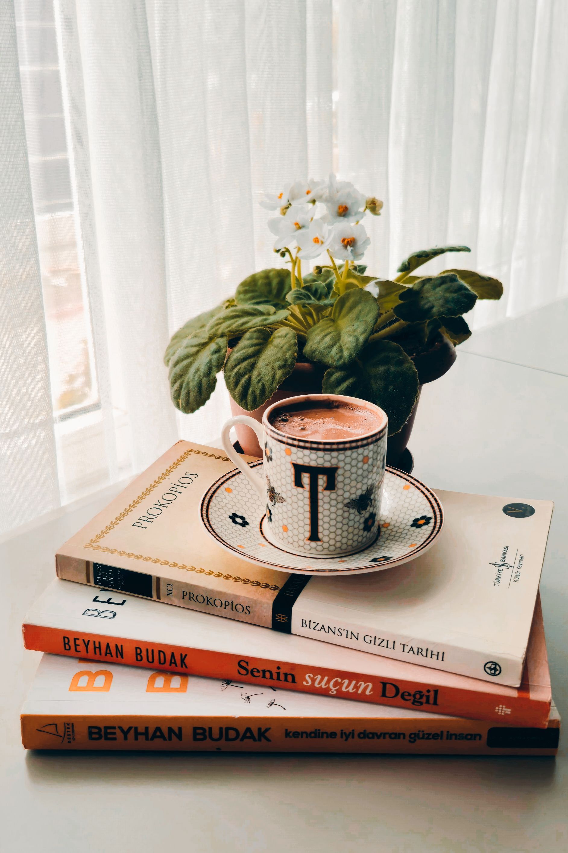 Cozy Coffee Setup with Books and Plant · Free Stock Photo
