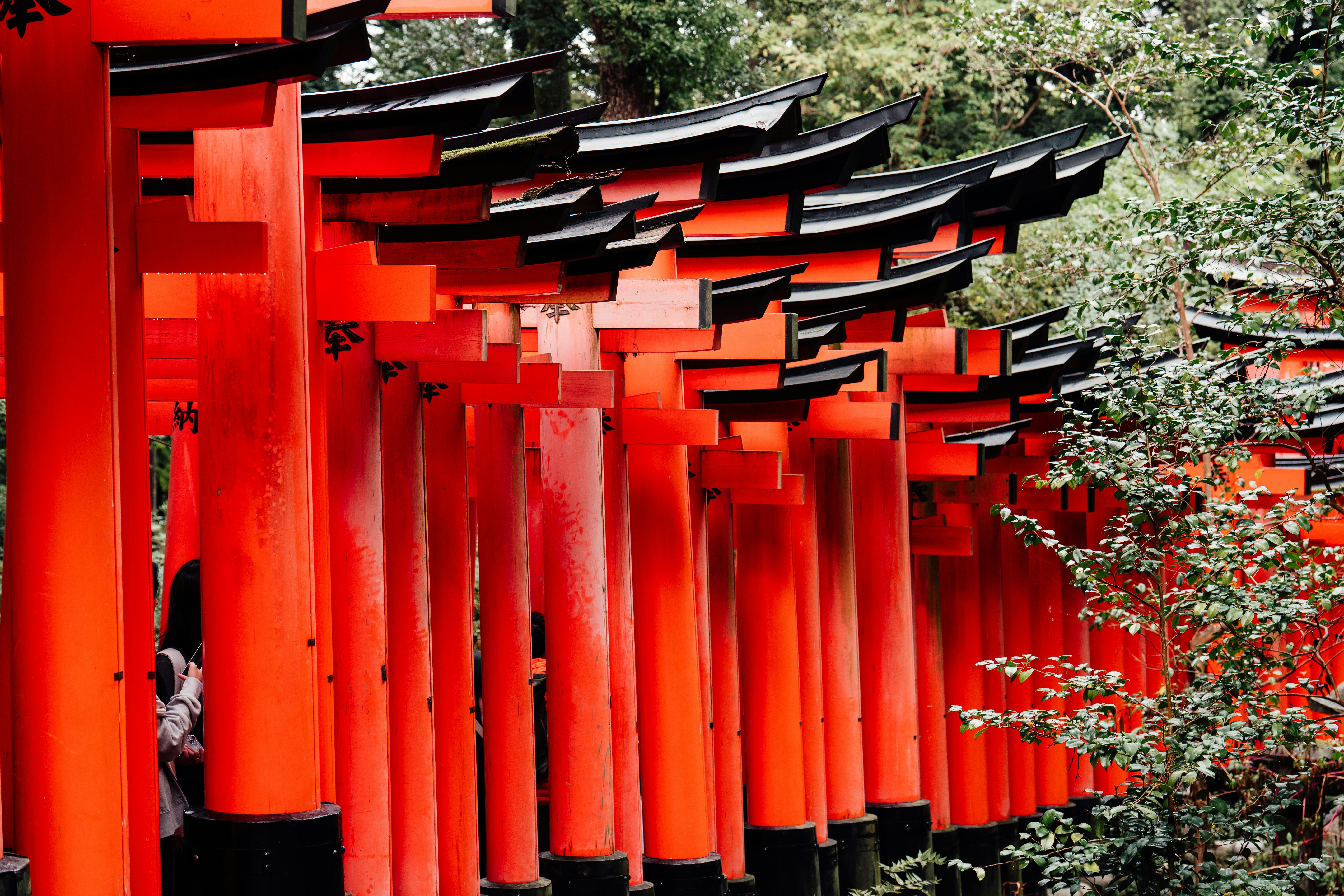 Gerbang Torii Merah Yang Ikonik Di Fushimi Inari · Foto Stok Gratis