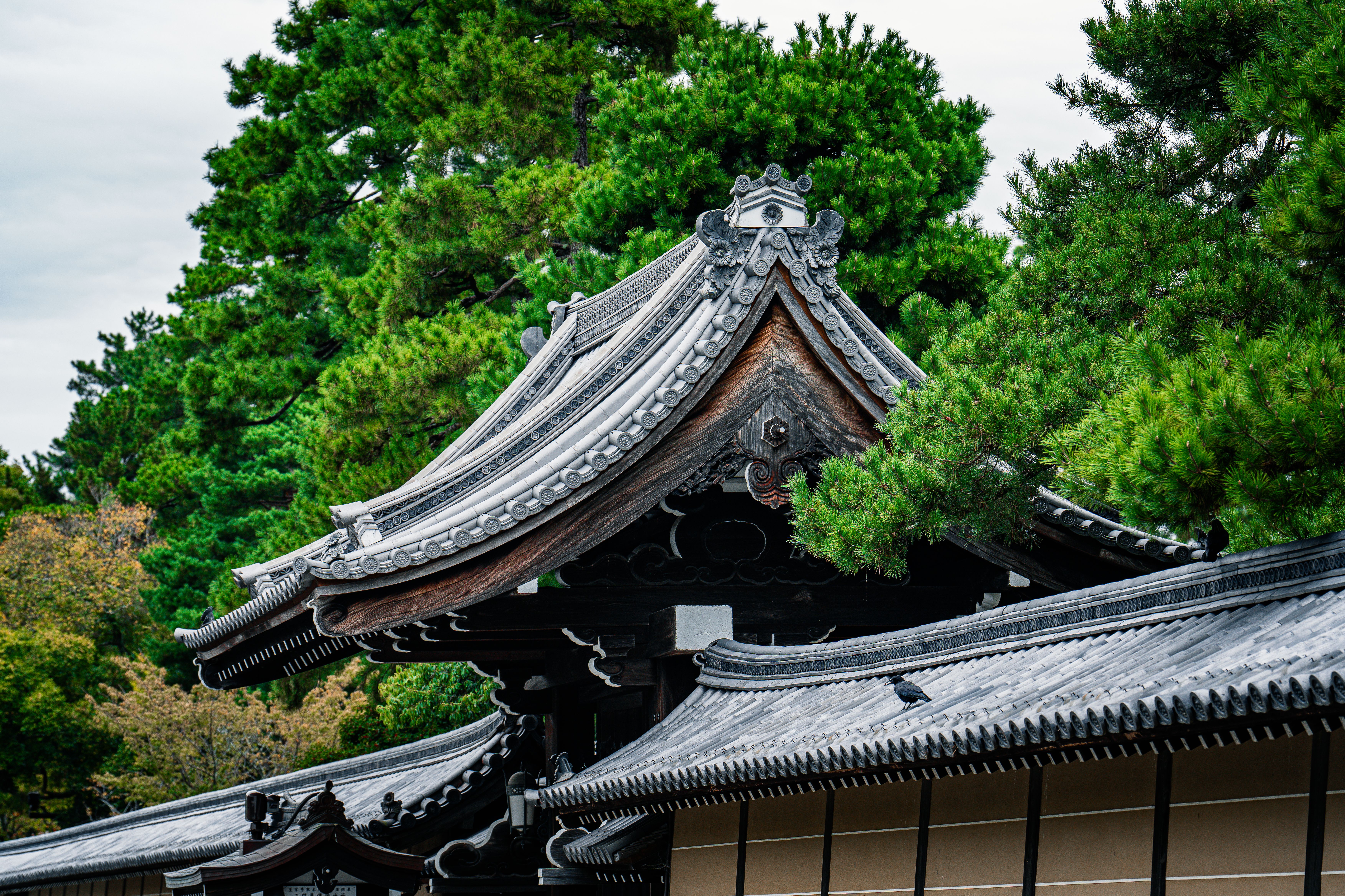 Traditional Japanese Temple Roof with Ornate Design · Free Stock Photo