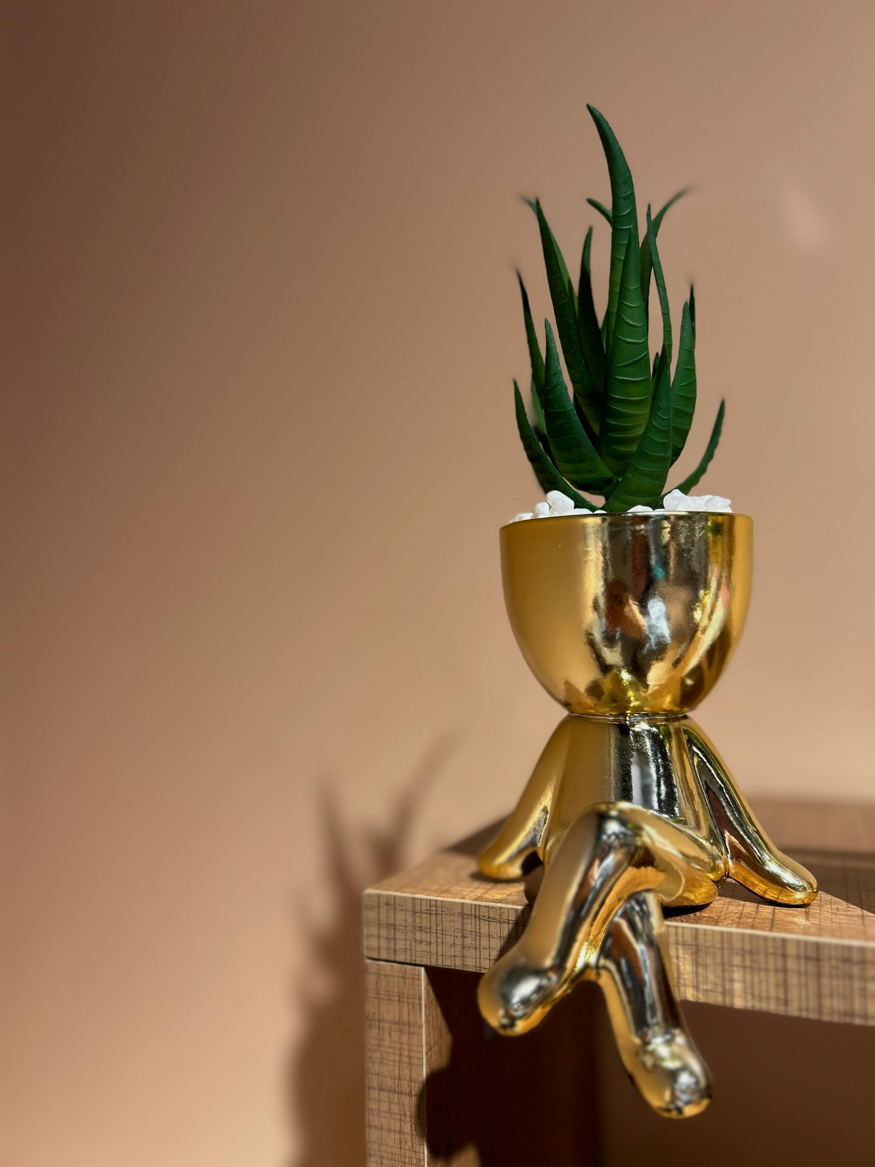 Golden Planter with Artificial Succulent on Wooden Table · Free Stock Photo
