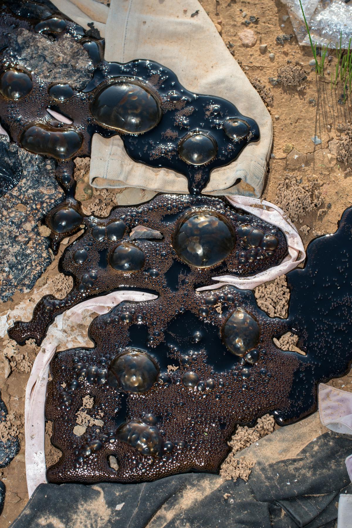 Oil Spill Photos, Download The BEST Free Oil Spill Stock Photos & HD Images