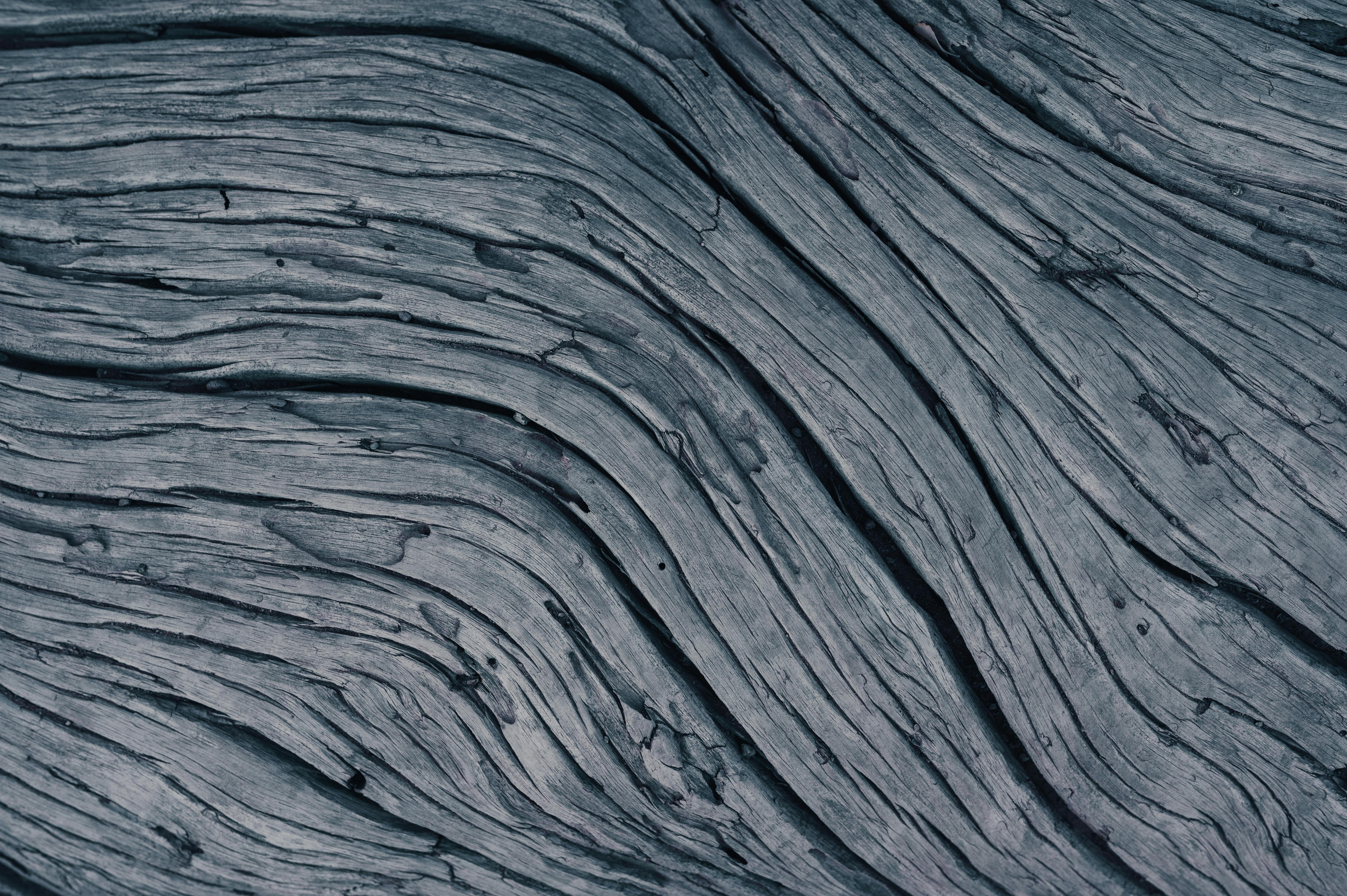 Abstract Wood Texture with Curved Grain Pattern · Free Stock Photo