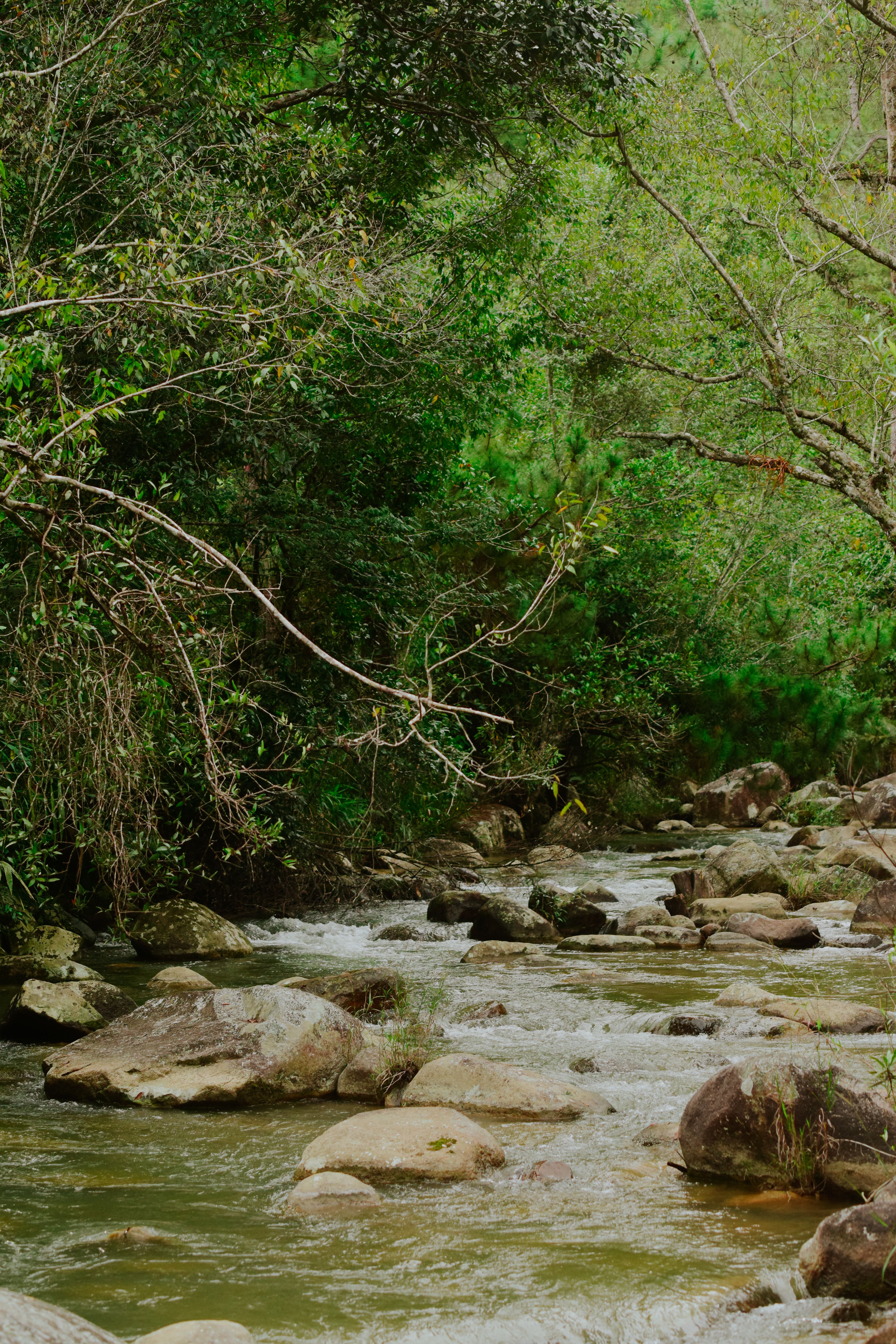 Green Brook Photos, Download The BEST Free Green Brook Stock Photos ...