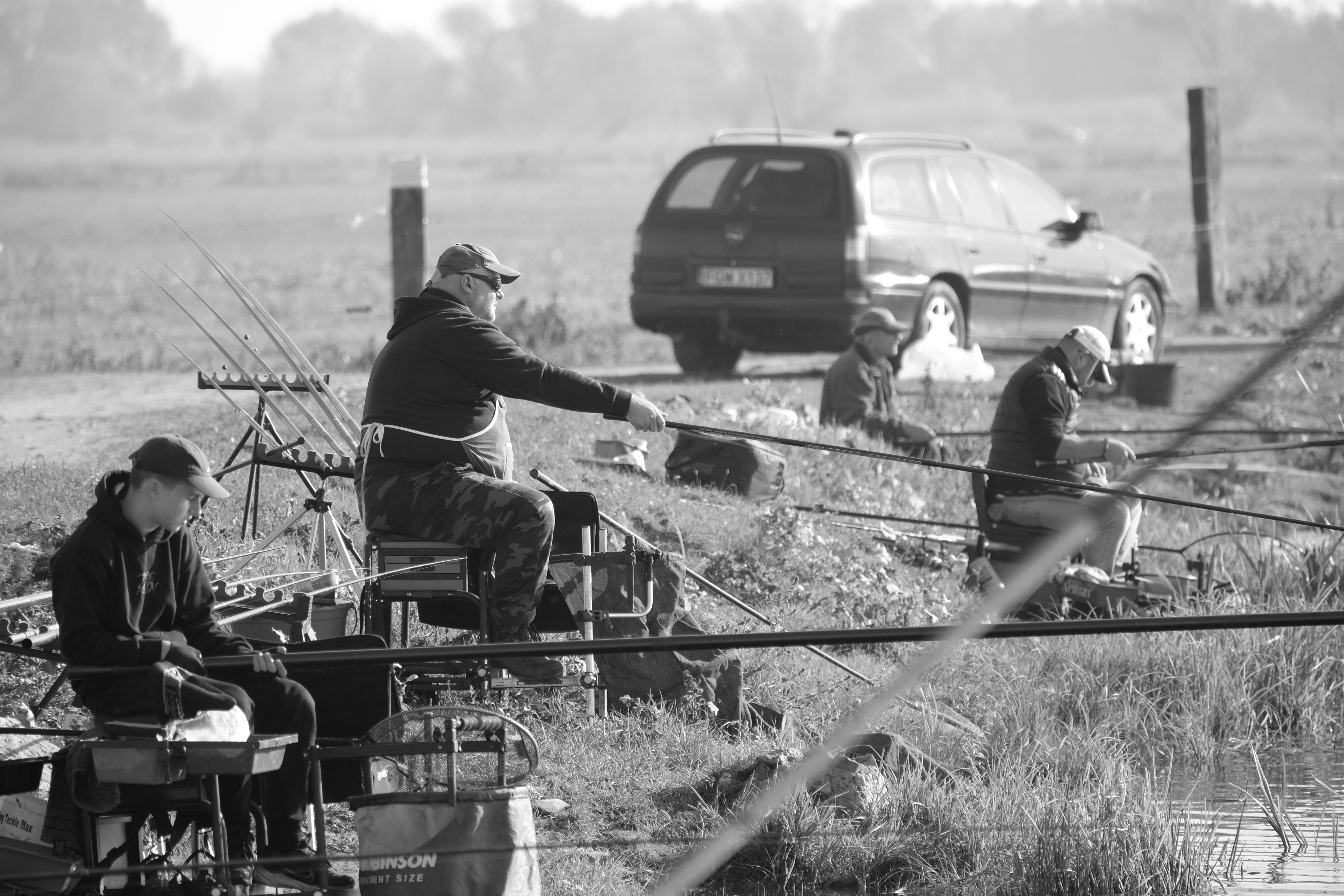 Twee Professionals Photos, Download The BEST Free Twee Professionals ...