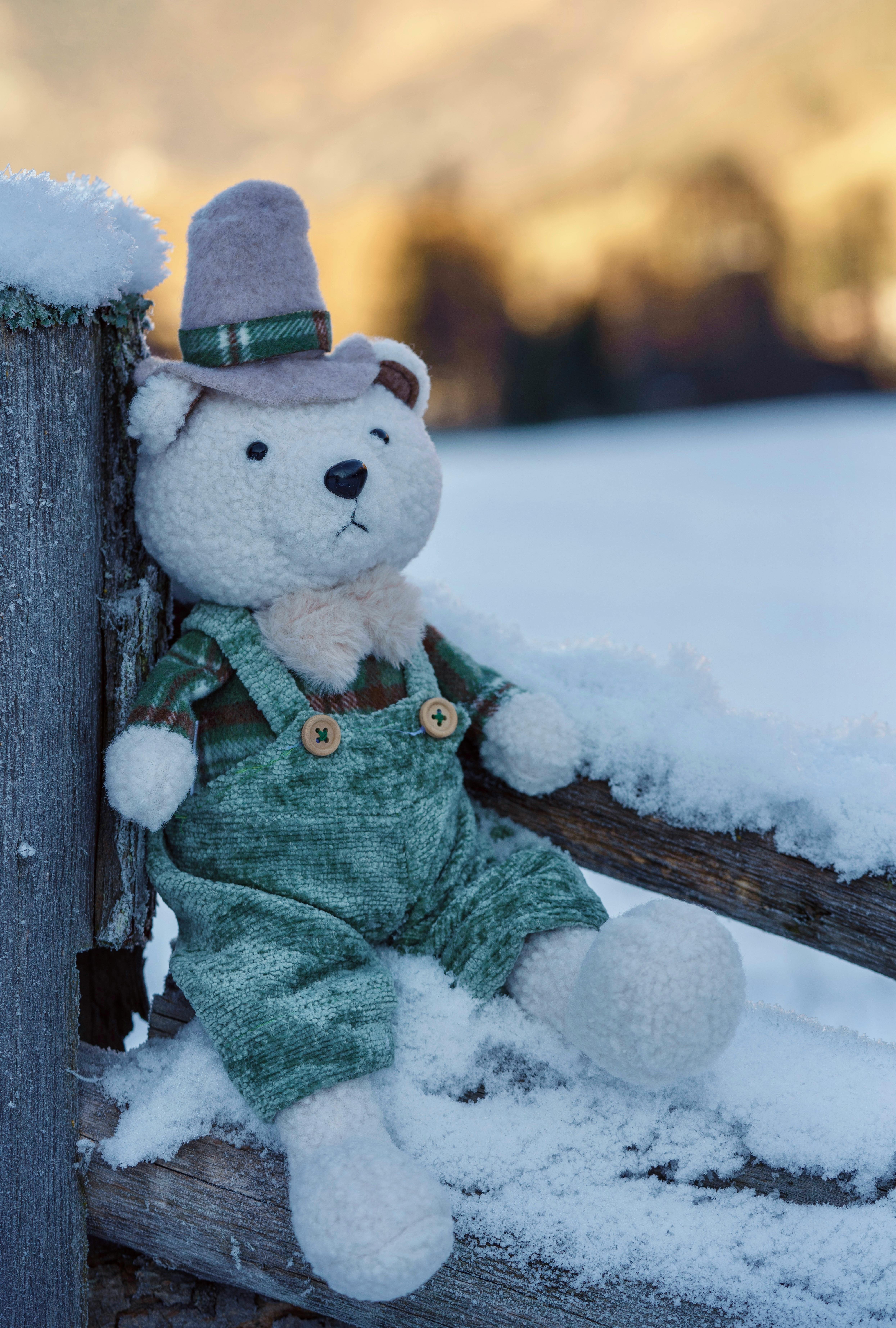 Playful Day Photos, Download The BEST Free Playful Day Stock Photos ...