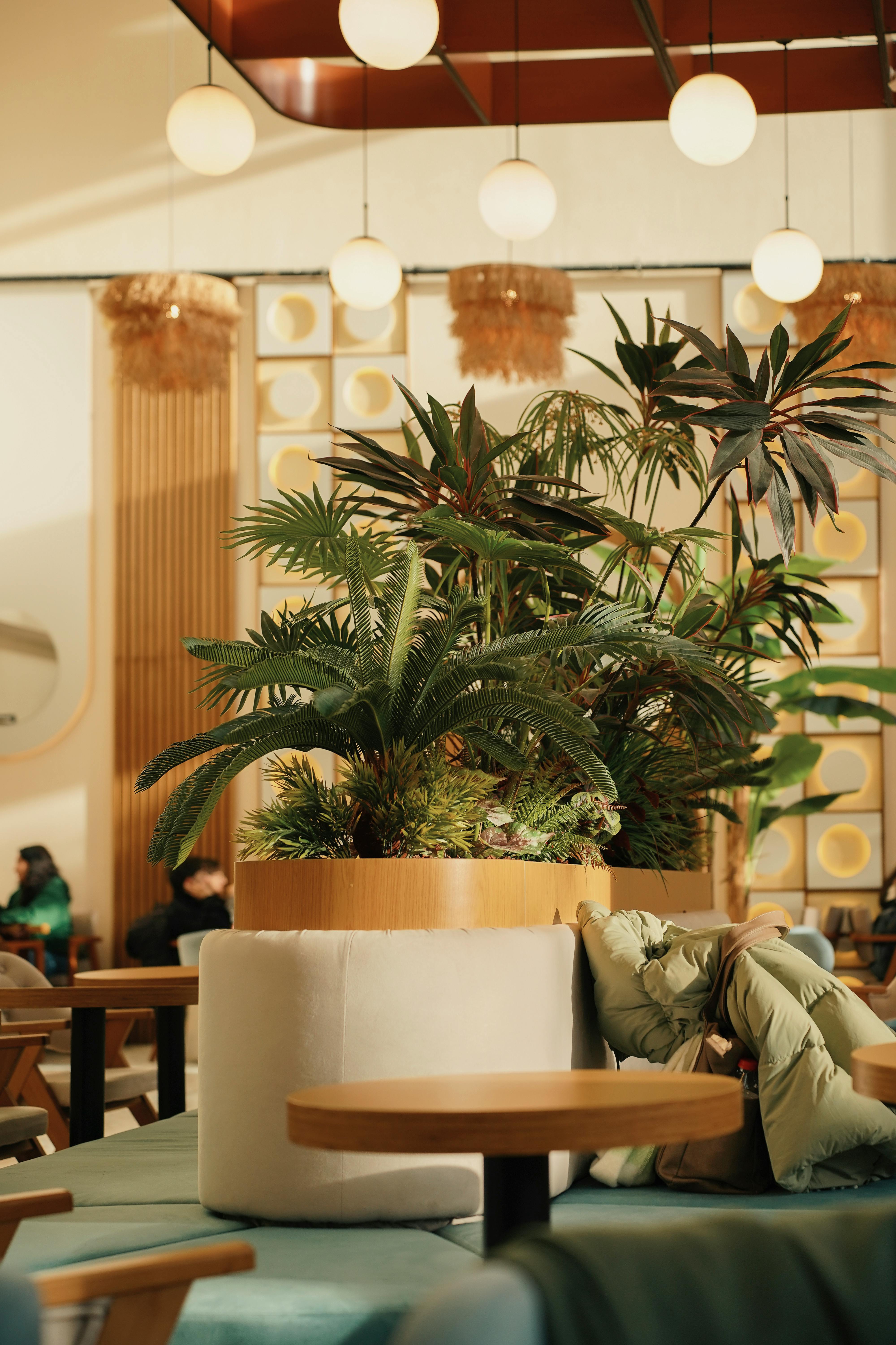 Modern Indoor Seating Area with Lush Greenery · Free Stock Photo