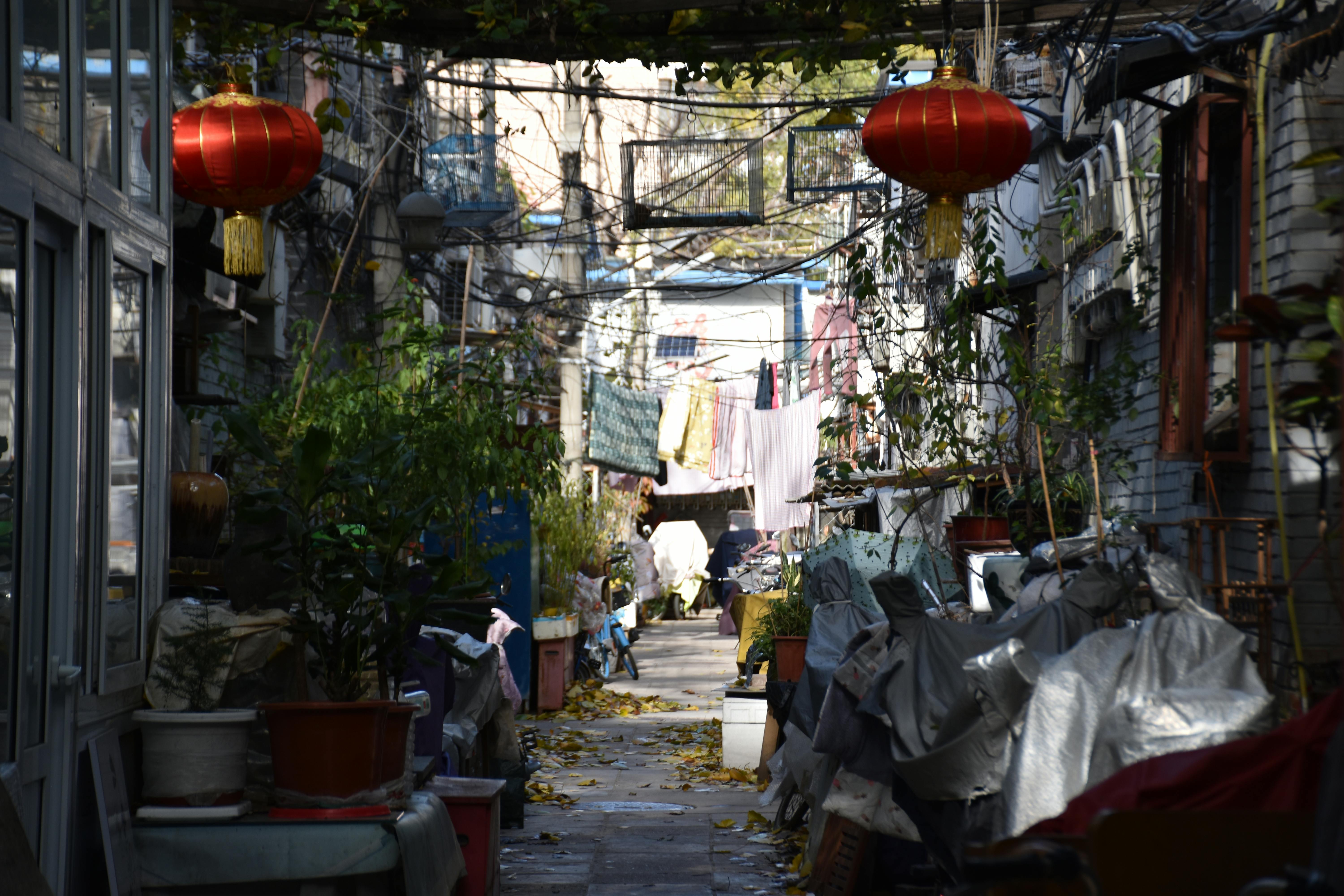Traditional Chinese Alley with Lanterns · Free Stock Photo