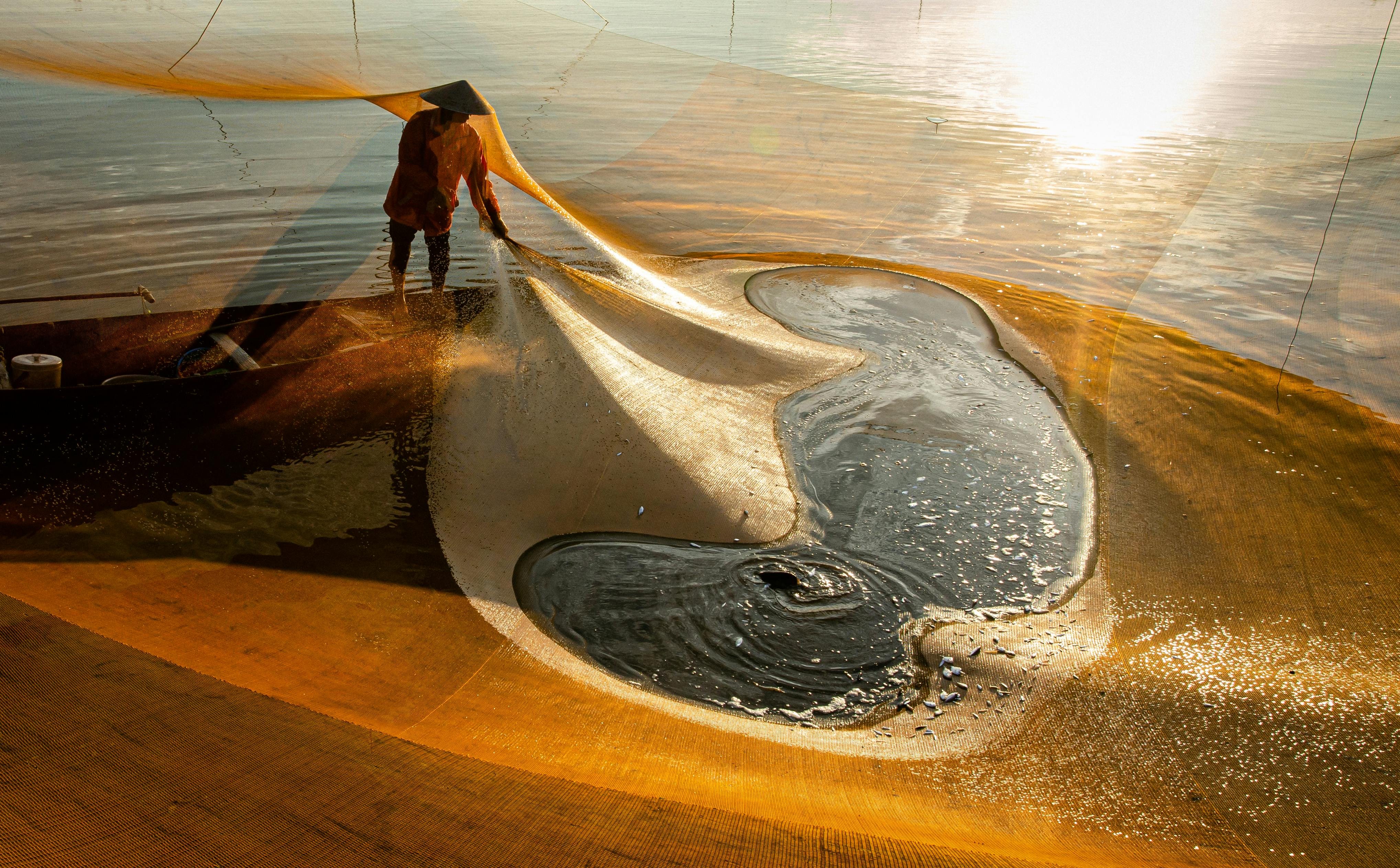 Hale Net Photos, Download The BEST Free Hale Net Stock Photos & HD Images