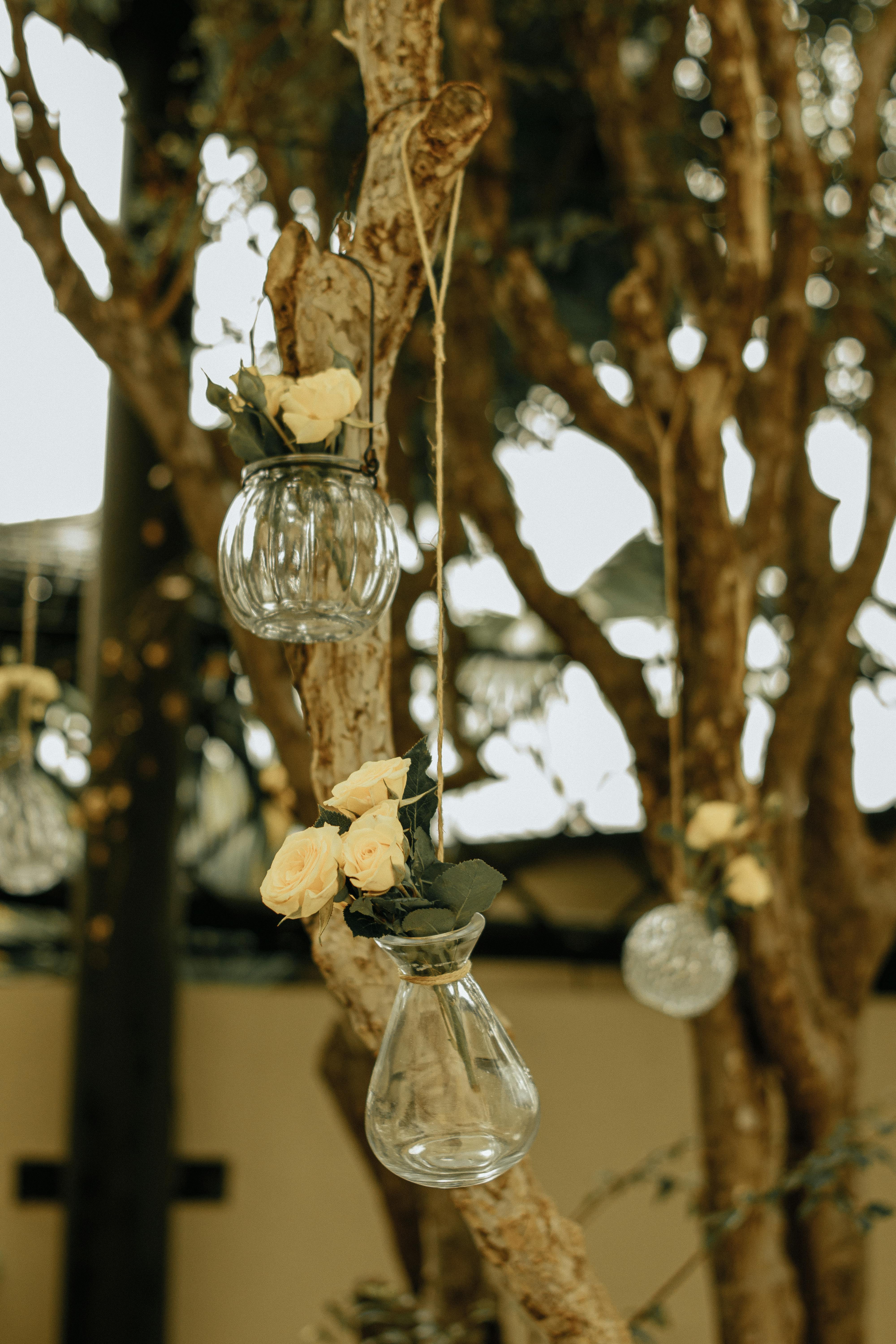 Romantic Look Photos, Download The BEST Free Romantic Look Stock Photos ...